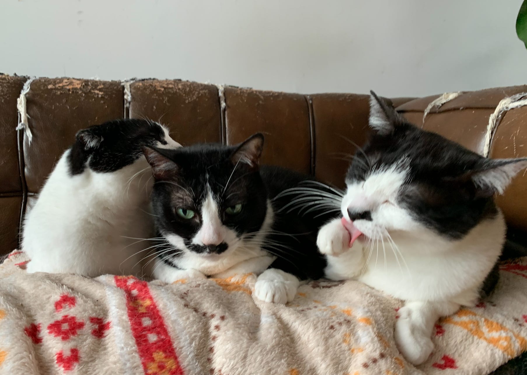 記憶之不可靠 - by Hocc - Denise Ho - 何韻詩