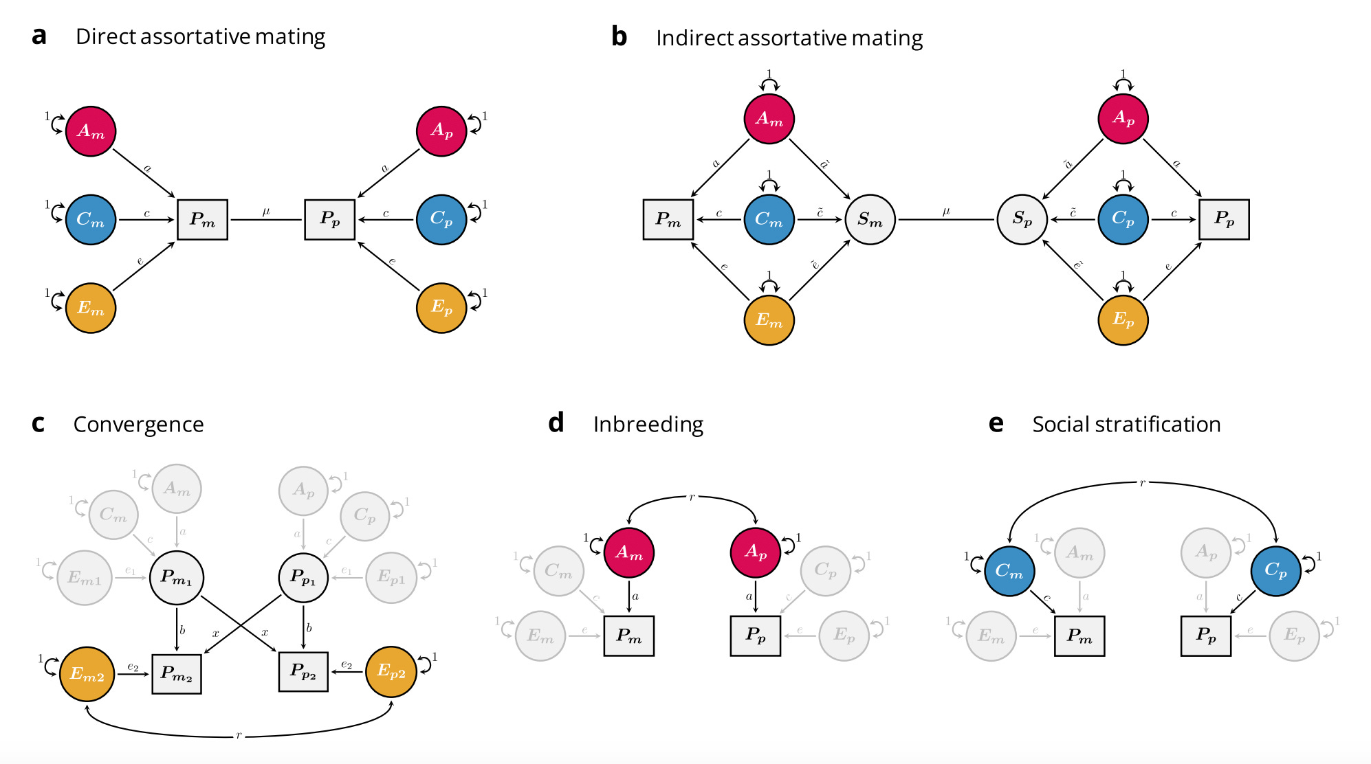 Some notes on assortative mating - by Sasha Gusev