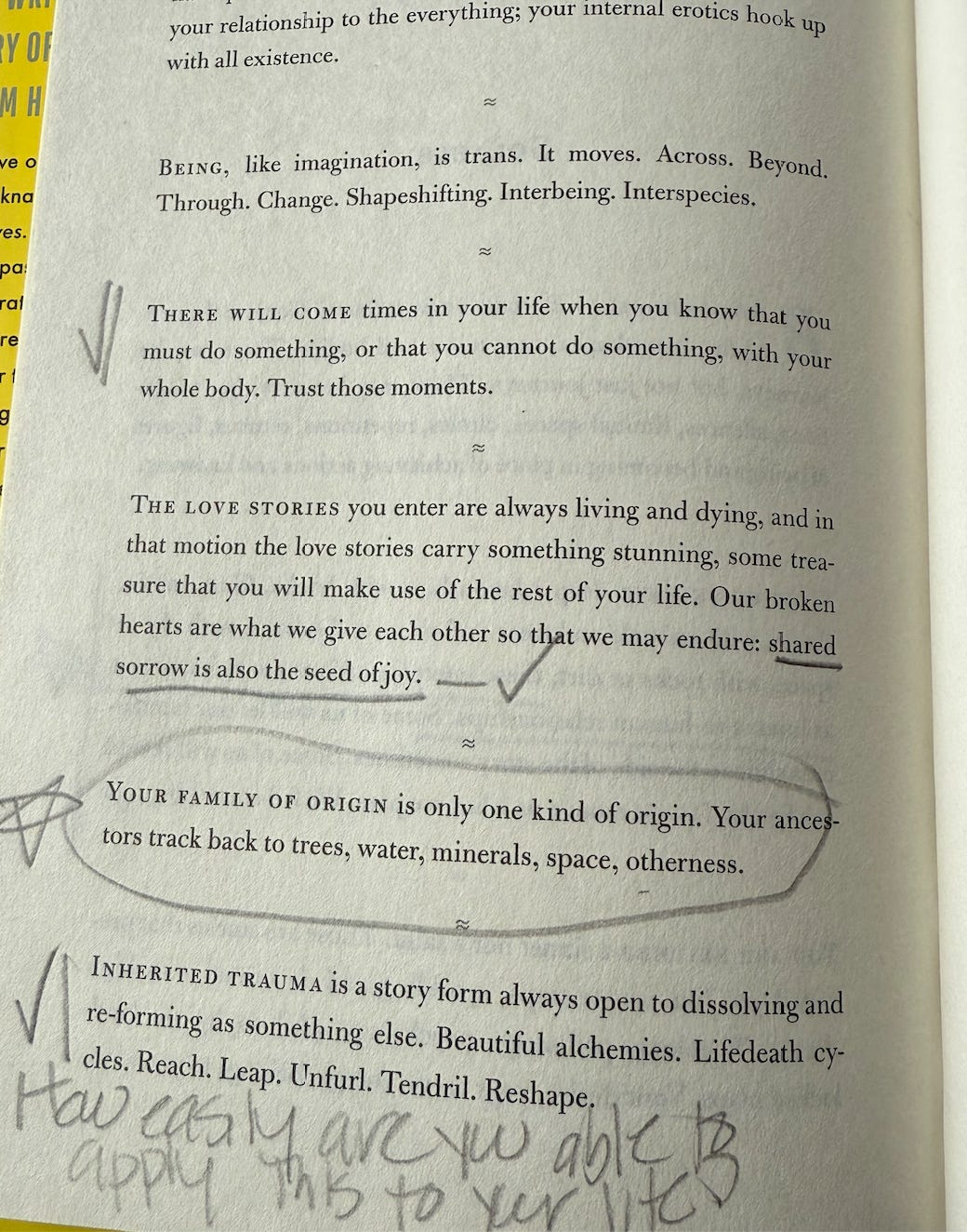 P.S. Six of My Favorite Notebooks on Substack