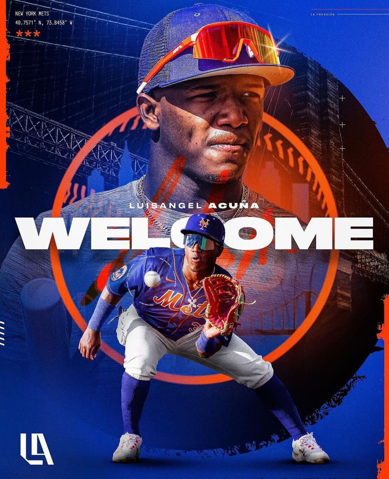 Welcome to New York Luisangel Acuna