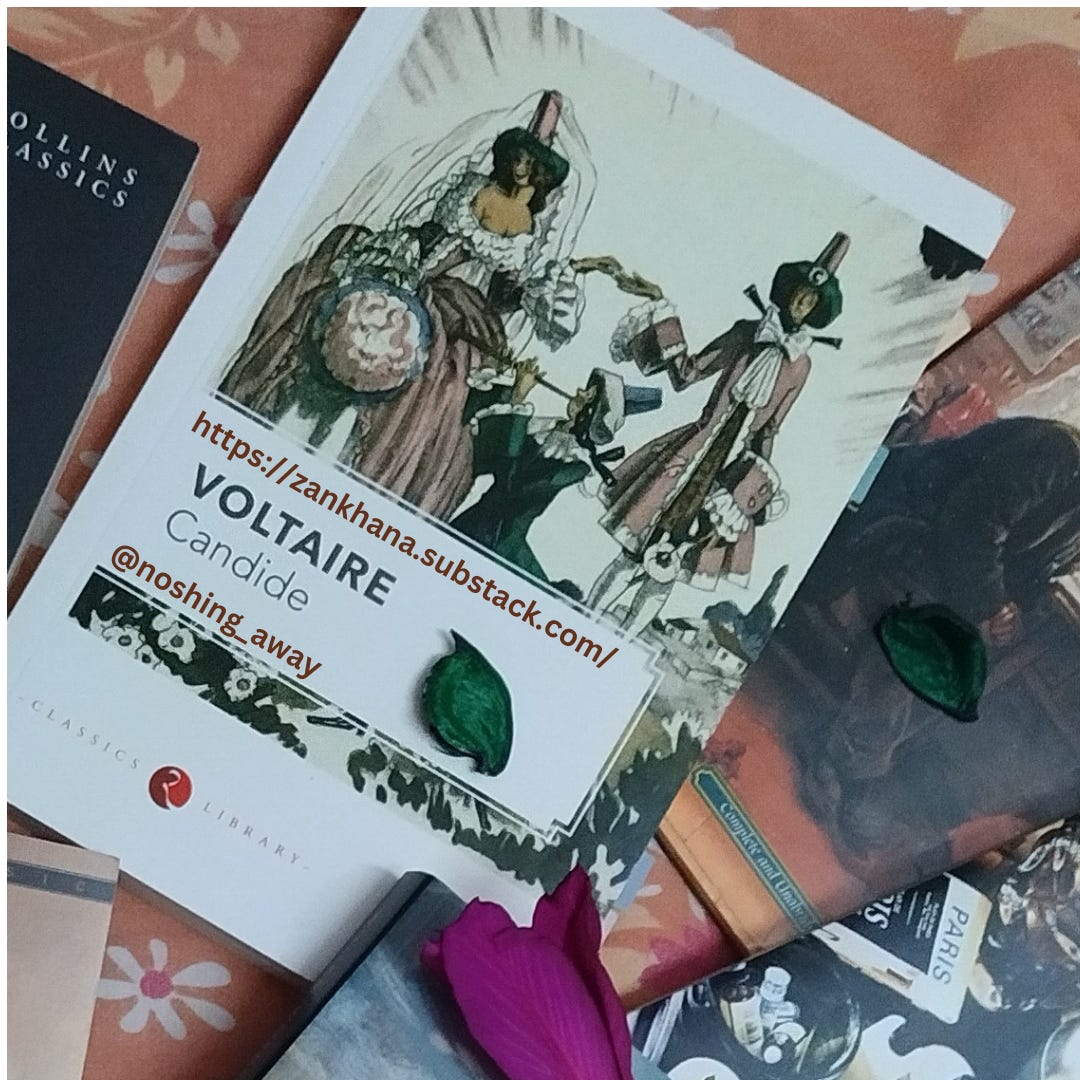 Candide by Voltaire (Book Review) - by Zed - Book Chatter