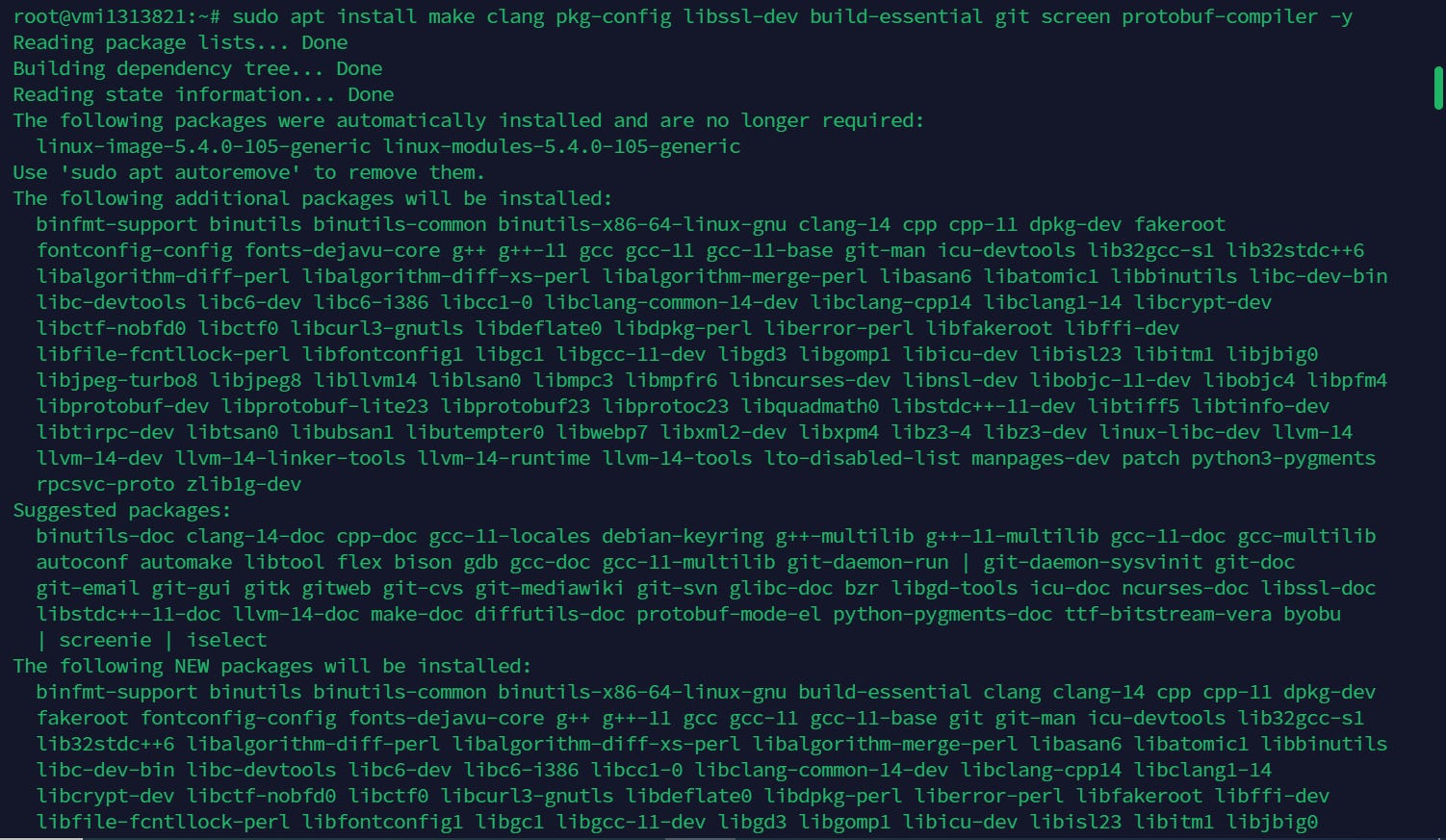 Guide to install Avail - validator