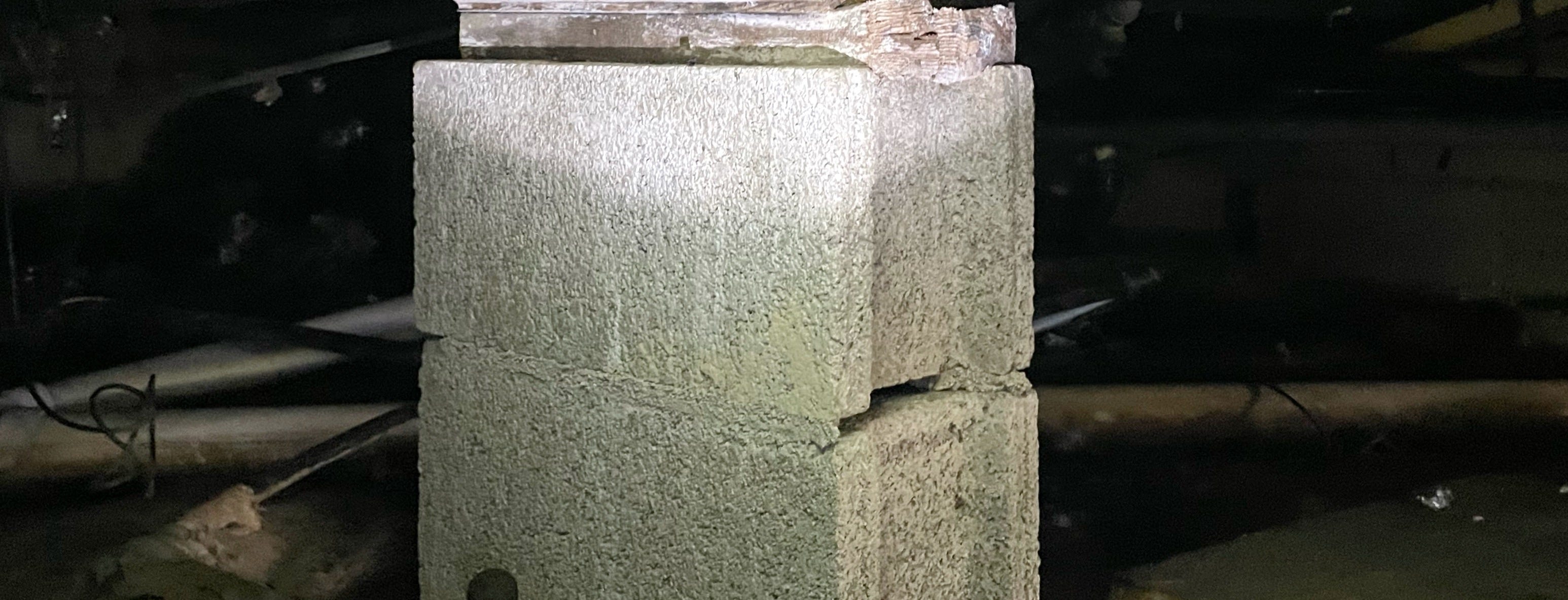 Structural Integrity - by Barb Sobel - Miserable Business