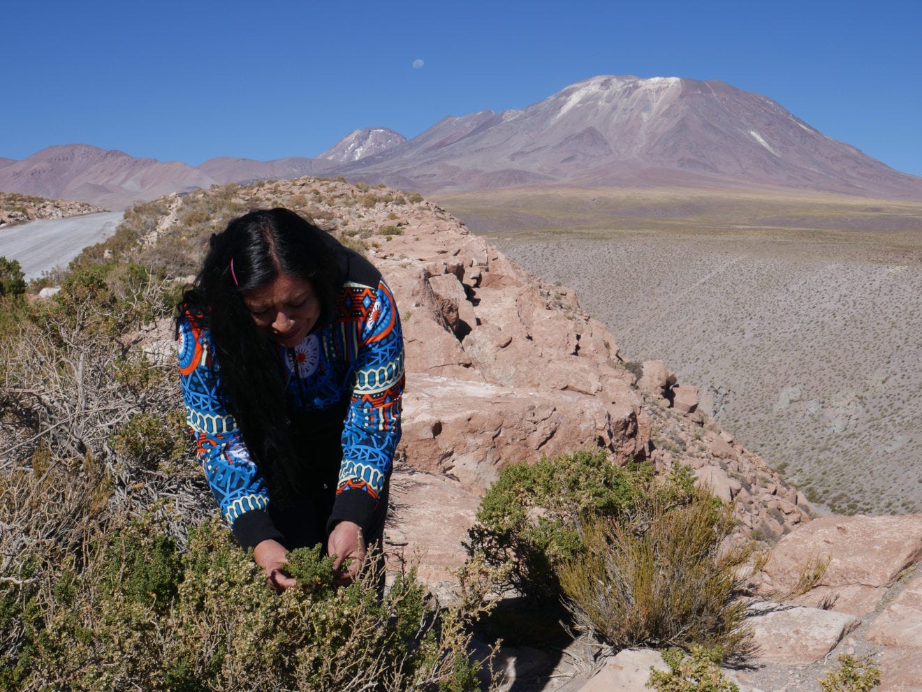 The Indigenous Woman Behind South America's Biggest Male Chefs