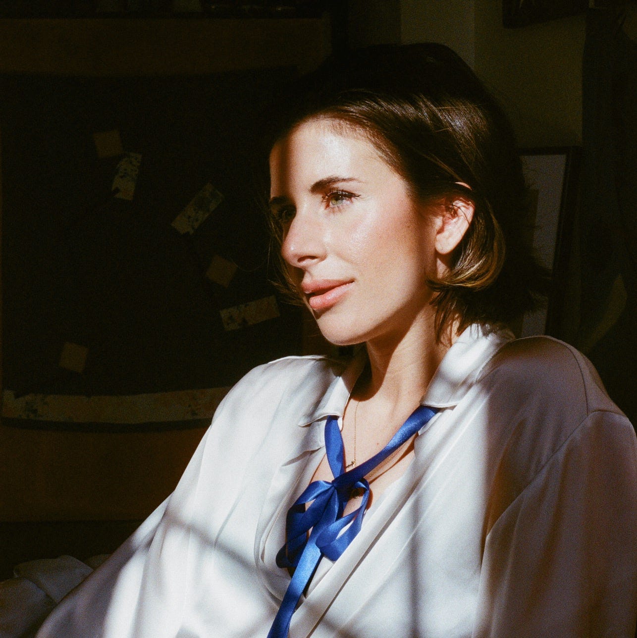 Michelle Pellizzon Lipsitz | Substack