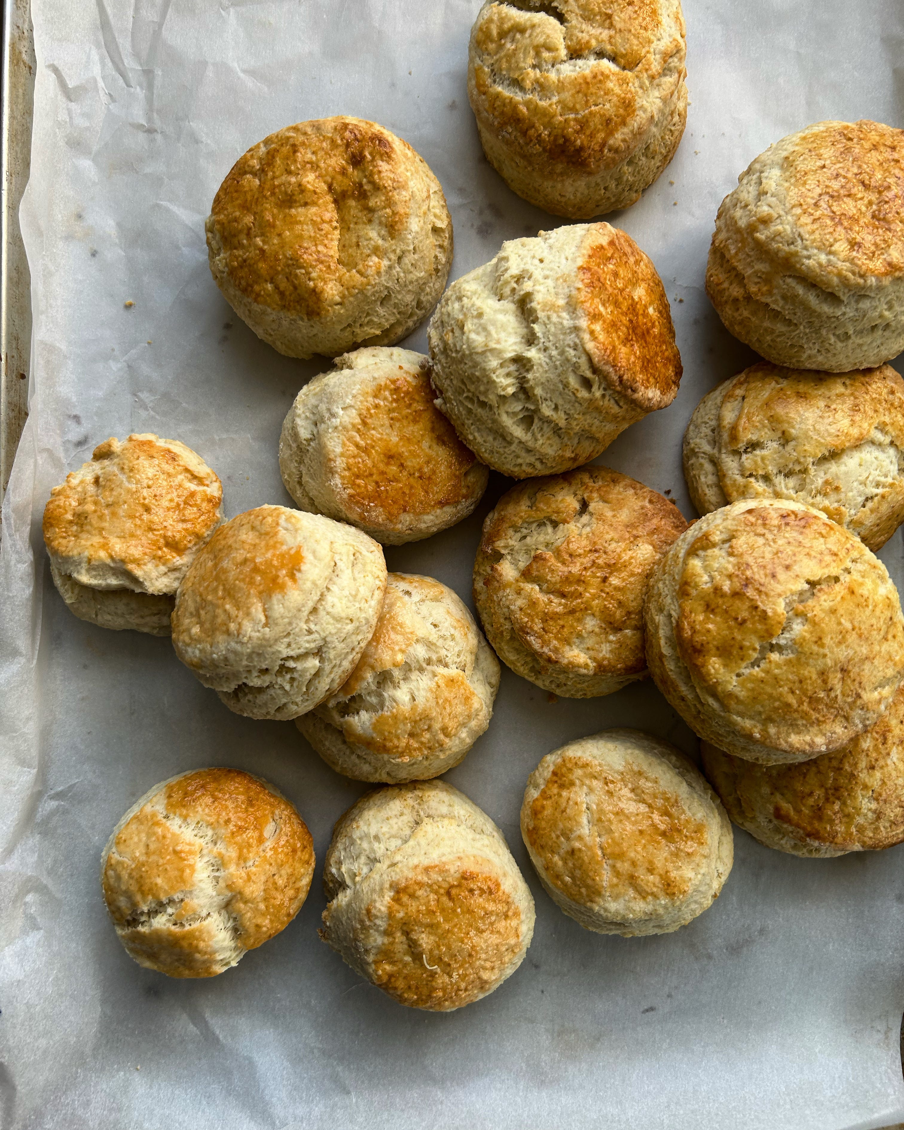 CLASSIC FAT SCONES AND A SAVOURY CHEESE, CHIVE AND BUTTERMILK SCONE