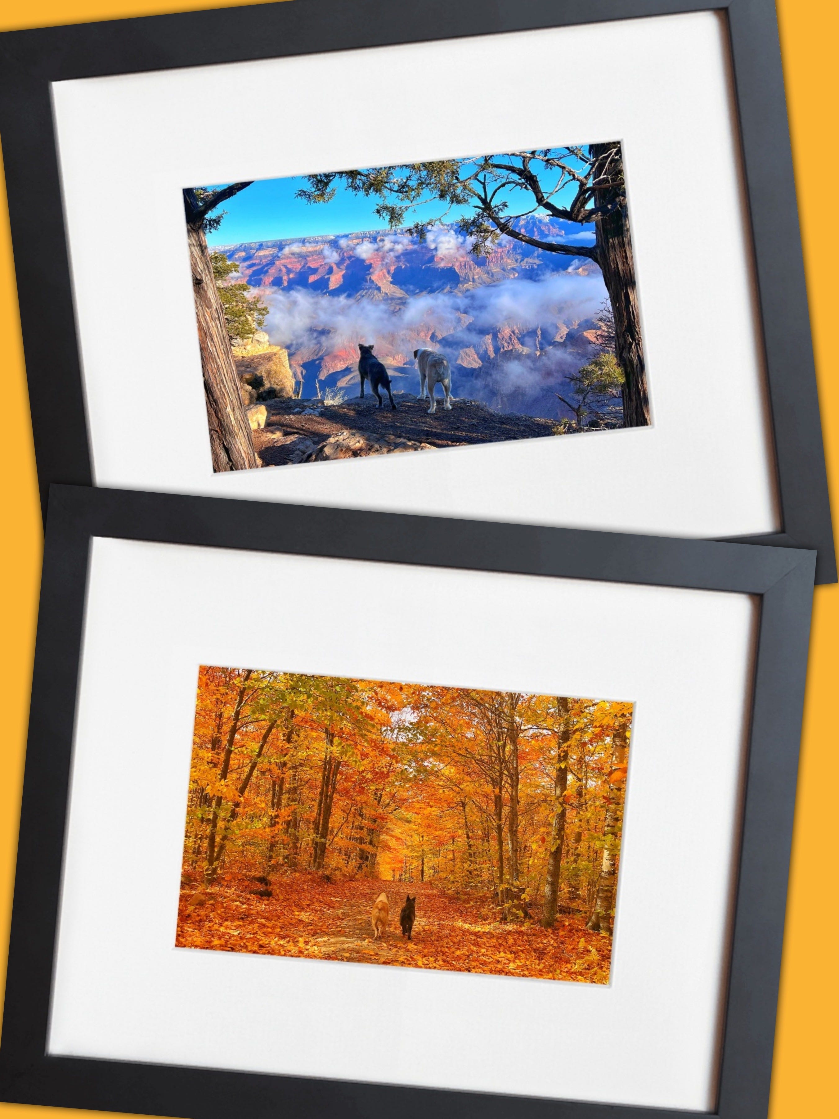 IMPORTANT: Exclusive Founding Member Letter