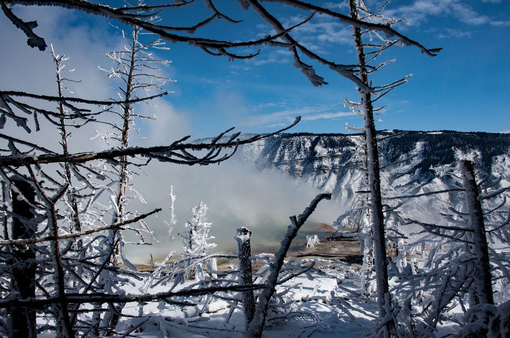 Fire and Ice - by Mark Caicedo - PuraVida