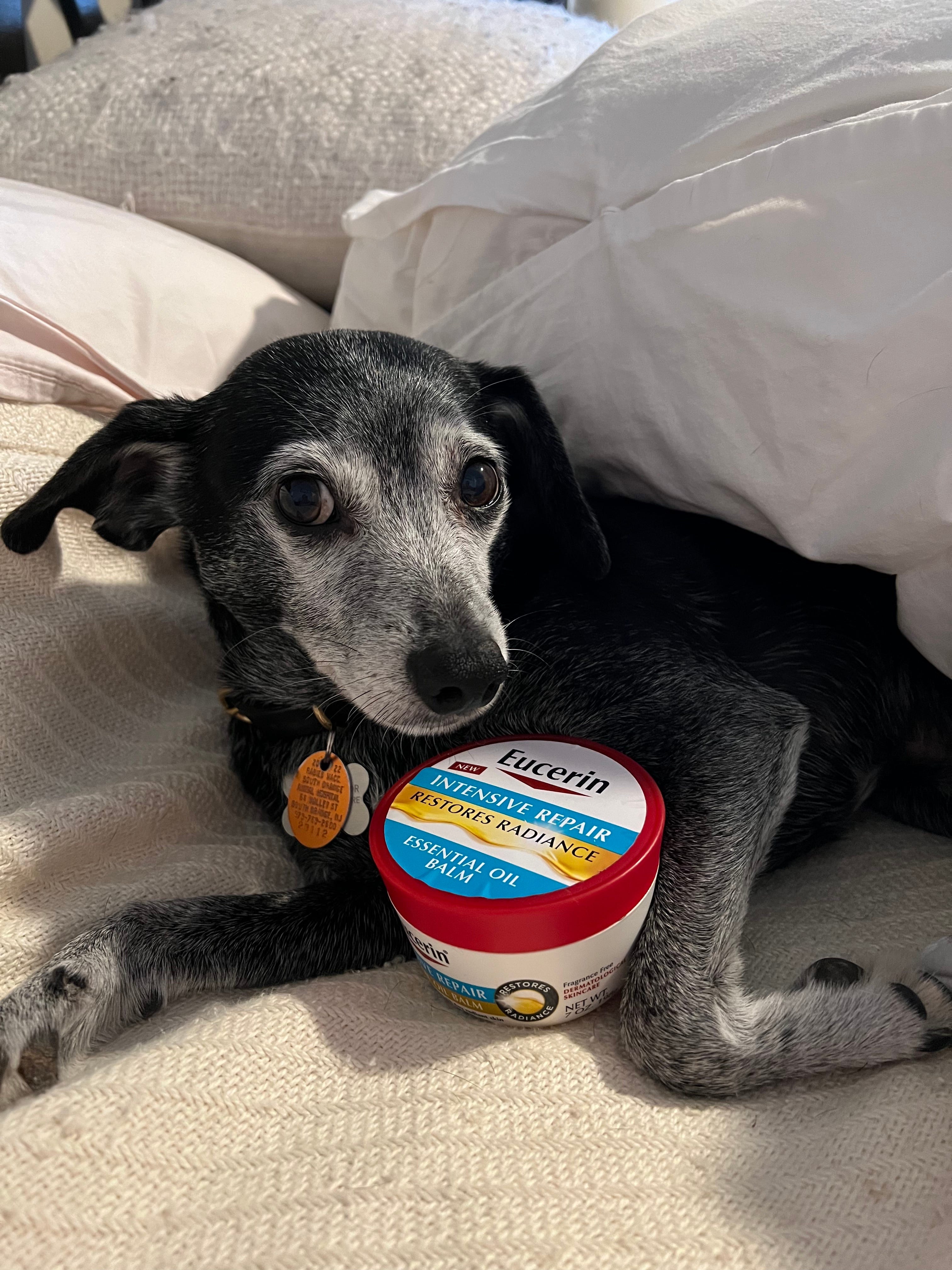 The quiet luxury of cheap skincare - by alix clyburn