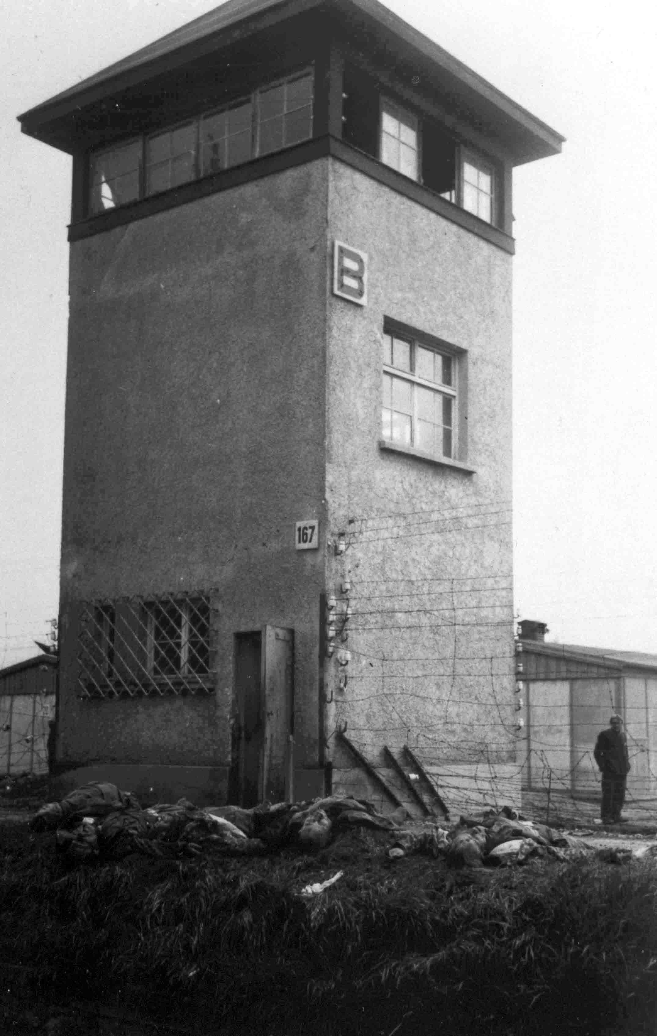 US troops liberate Dachau - by Martin Cherrett