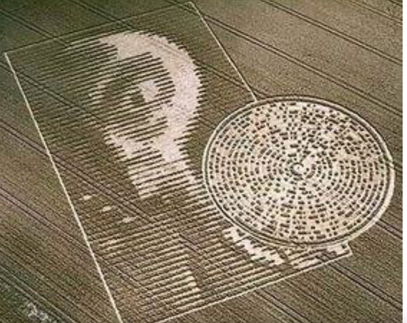 The Crabwood Crop Circle - by Peter Golbetz