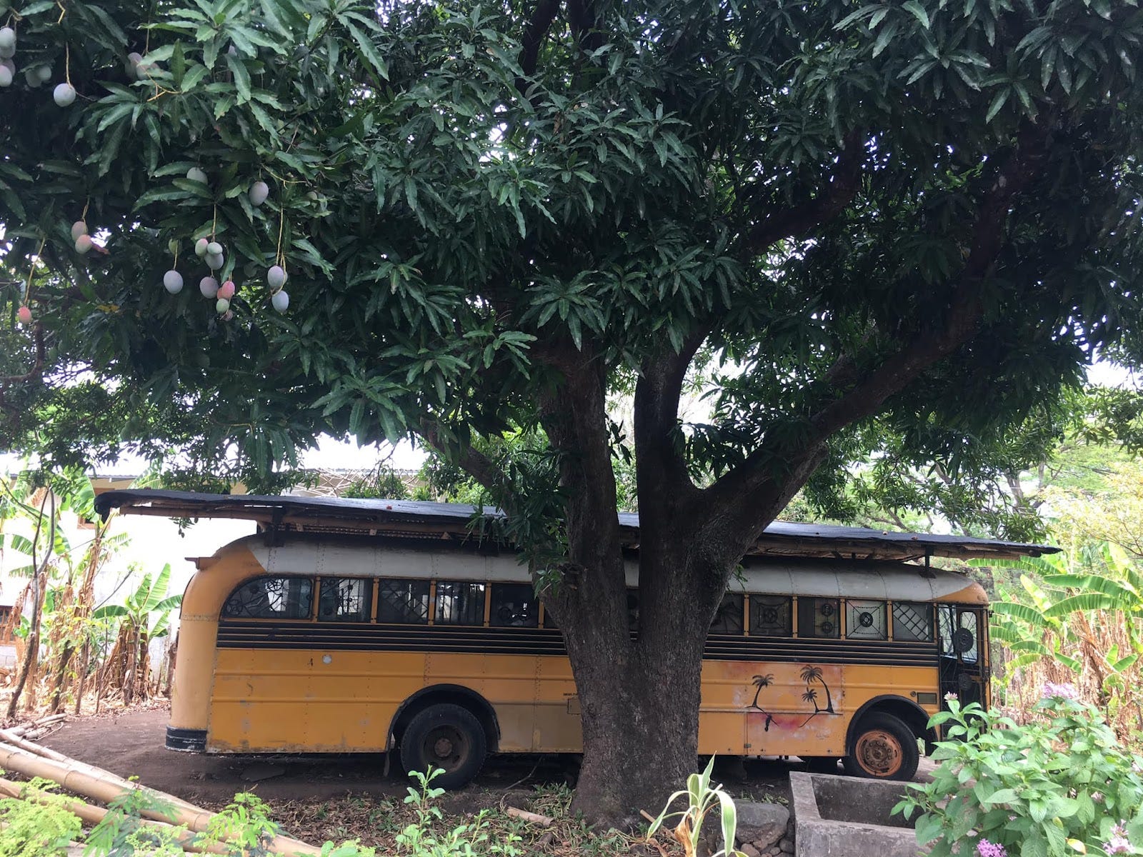 Why Go Off-Grid in Nicaragua - Usha Uppal