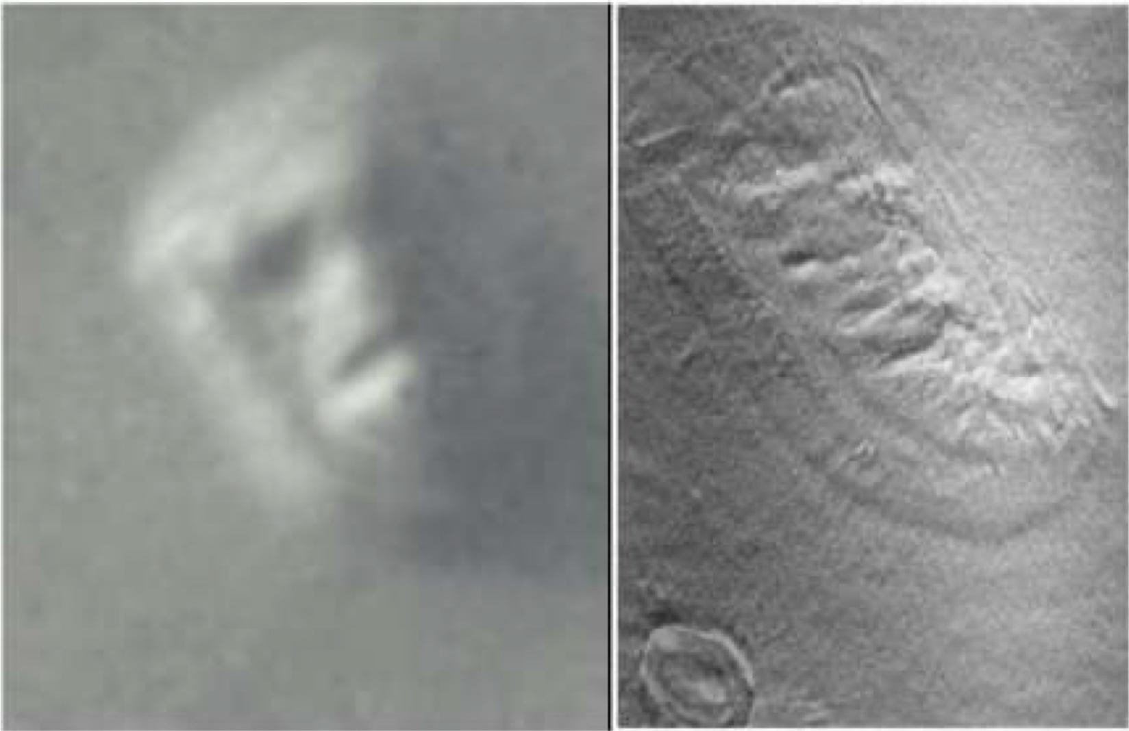 The Pyramids, The Face & The Case For Intelligent Life on Mars Before ...