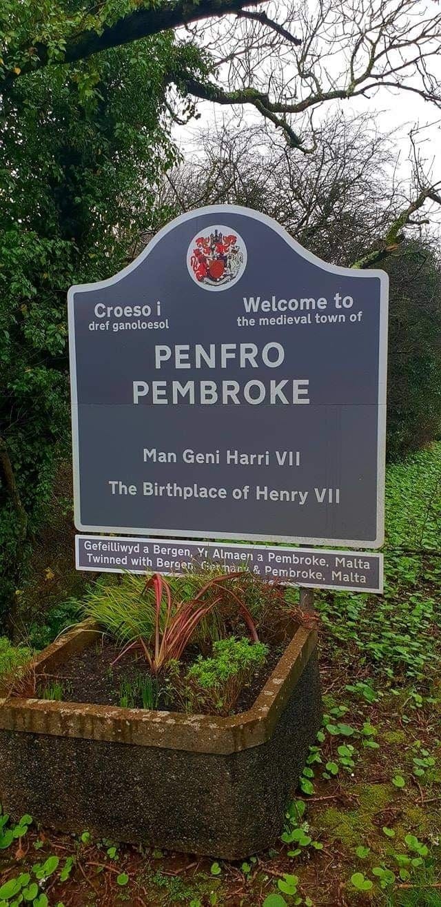 The Birth of Henry Tudor - by Nathen Amin