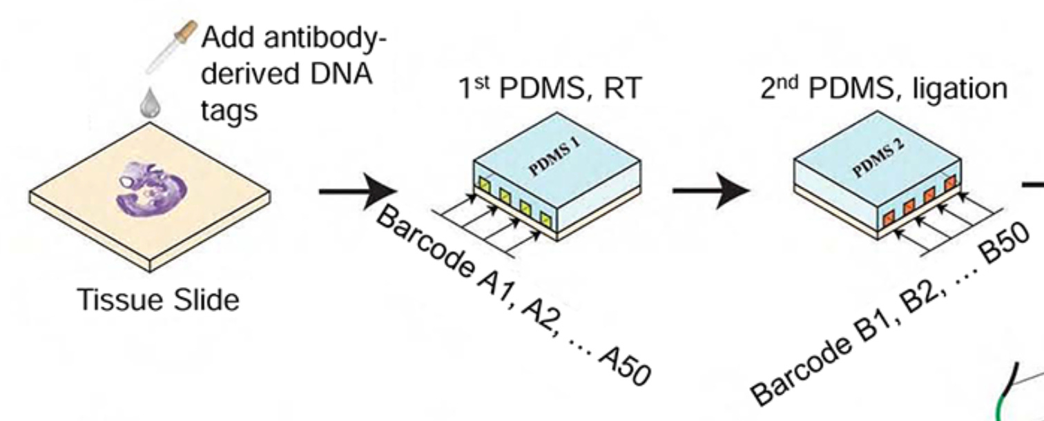Landscape of Sequencing-based Spatial RNA Technology: Part I