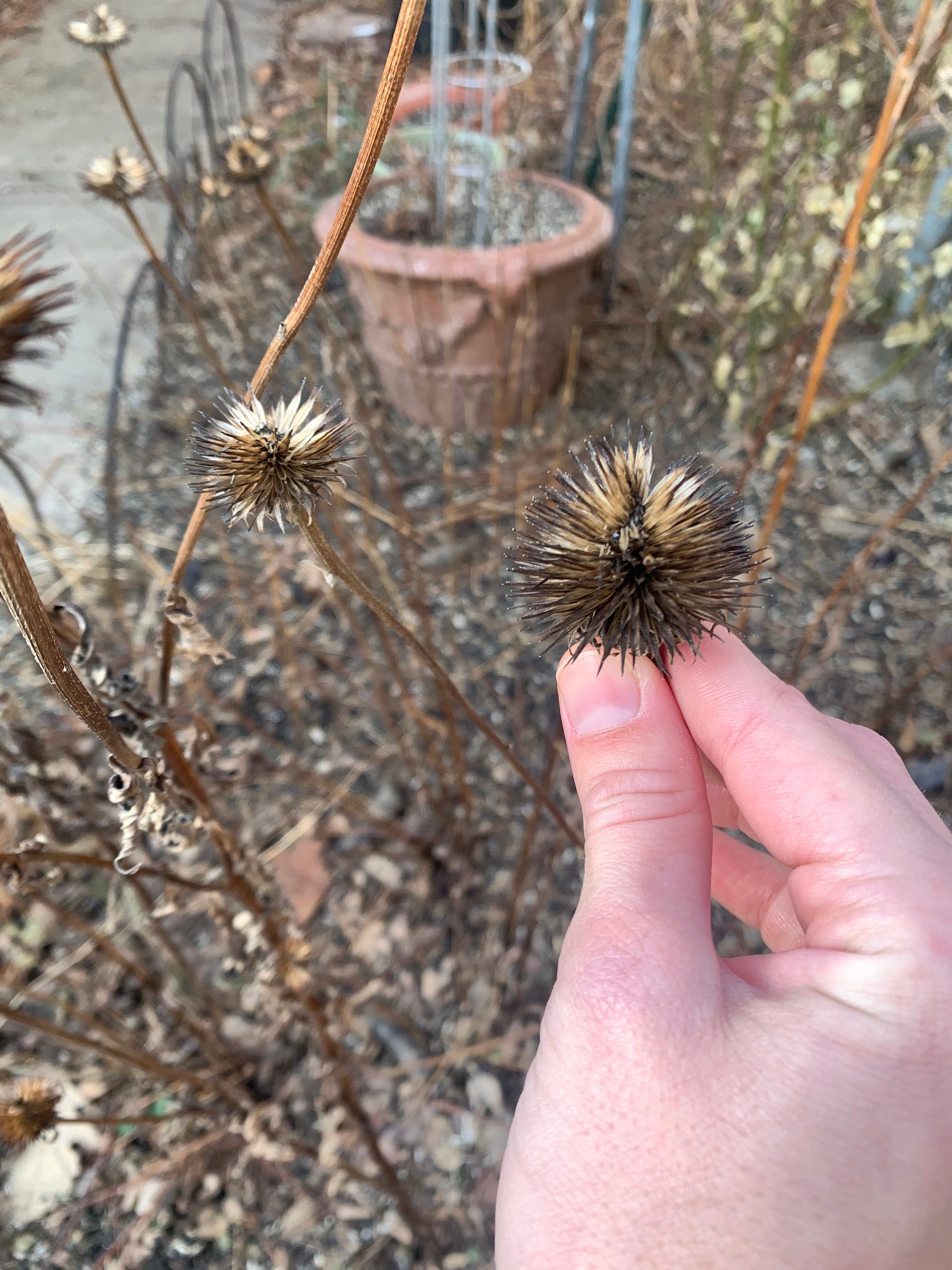 Meanwhile, in a new home - by Line Kuzniar