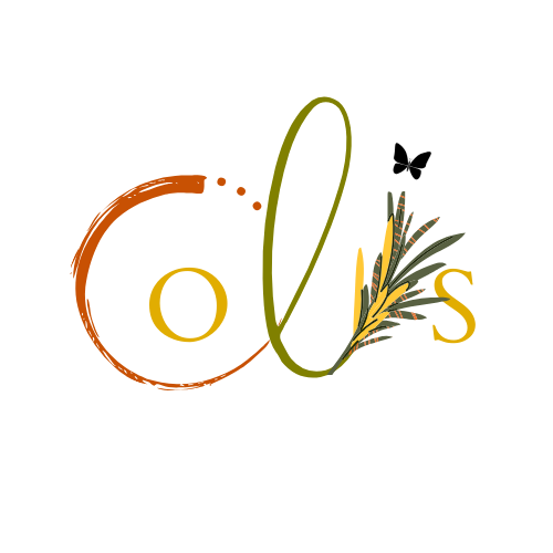 Cari Taylor | Substack