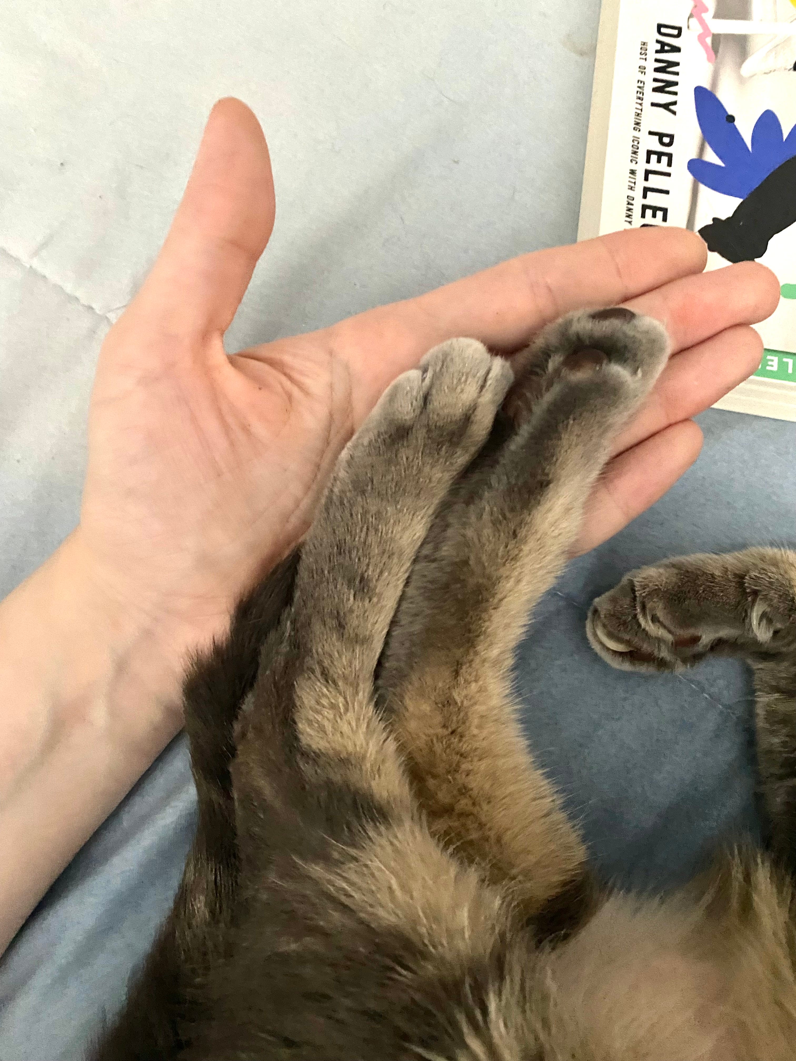 46. The Week in Me - by Tara Giancaspro