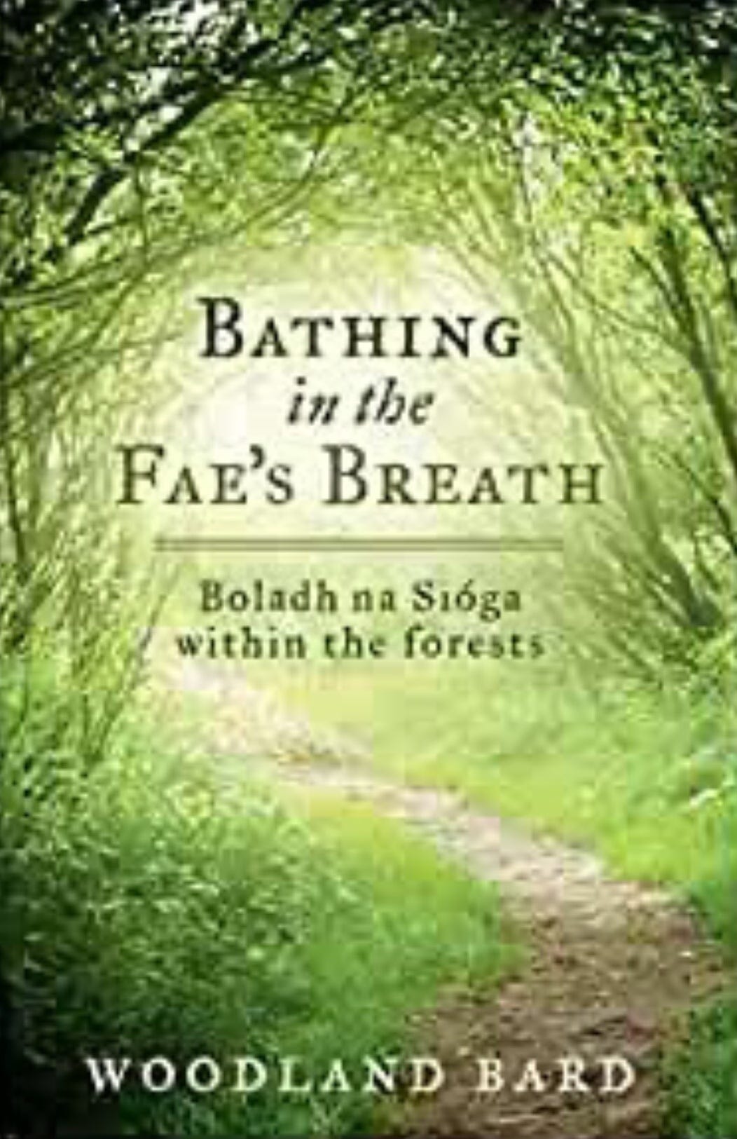 Ogham Divination - Prompts For Spring