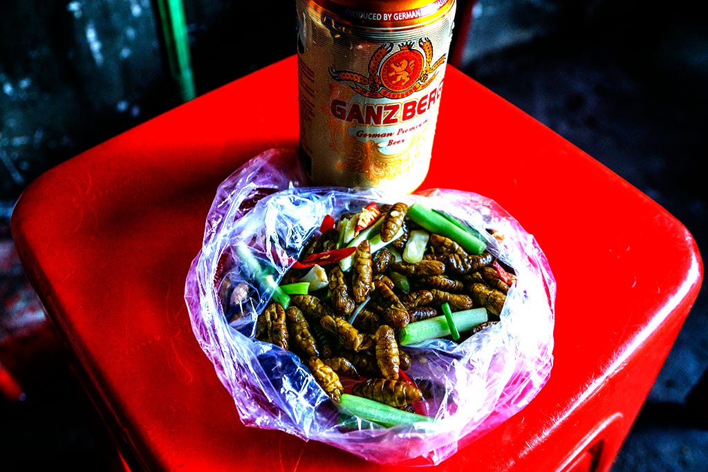 Exit the Cuckoo's Nest: "Insects, Real and Human" by Linh Dinh