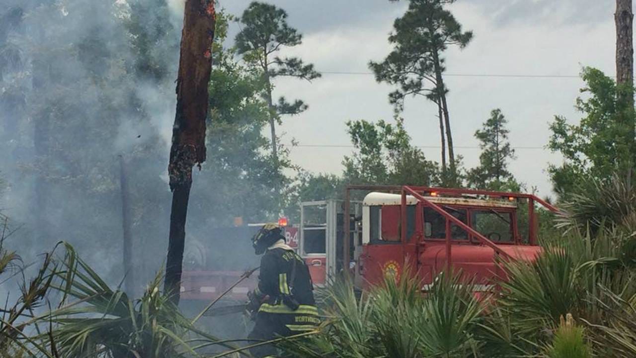March's Dry Conditions Fuel 43 Brush Fires in Palm Bay