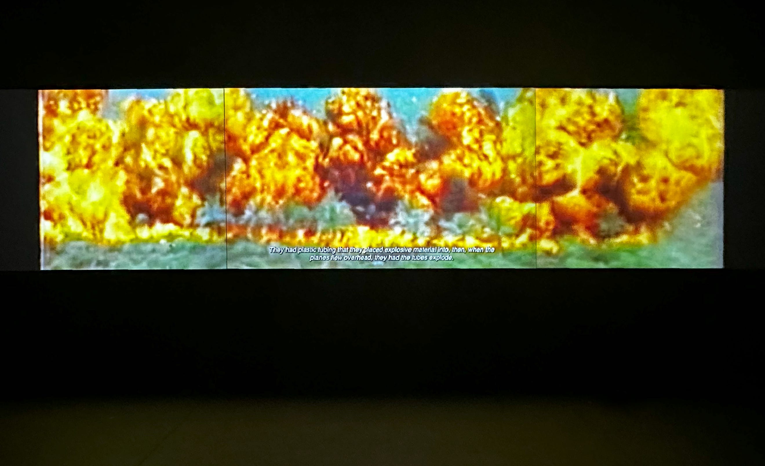 The Shed: Open Call 2023 - by Tyler Rutledge