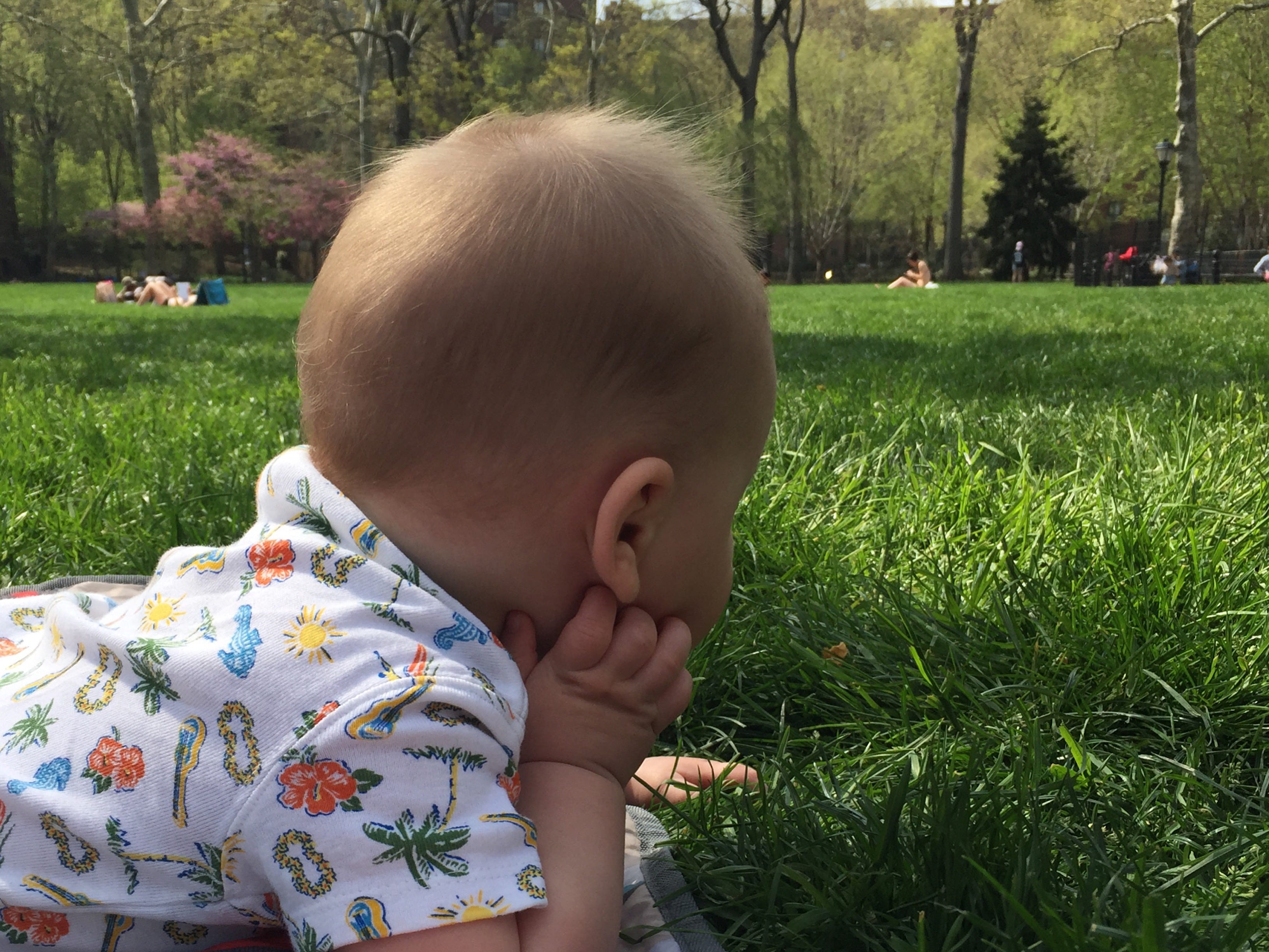 What is RIE? - by Leith Speer Barton - Nurtured Child