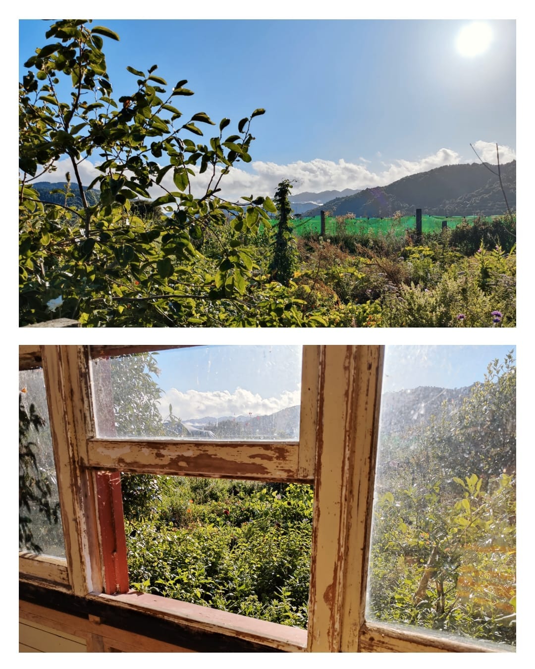 Garden Guilt, Dark Moon - by Ellowen - INHABIT