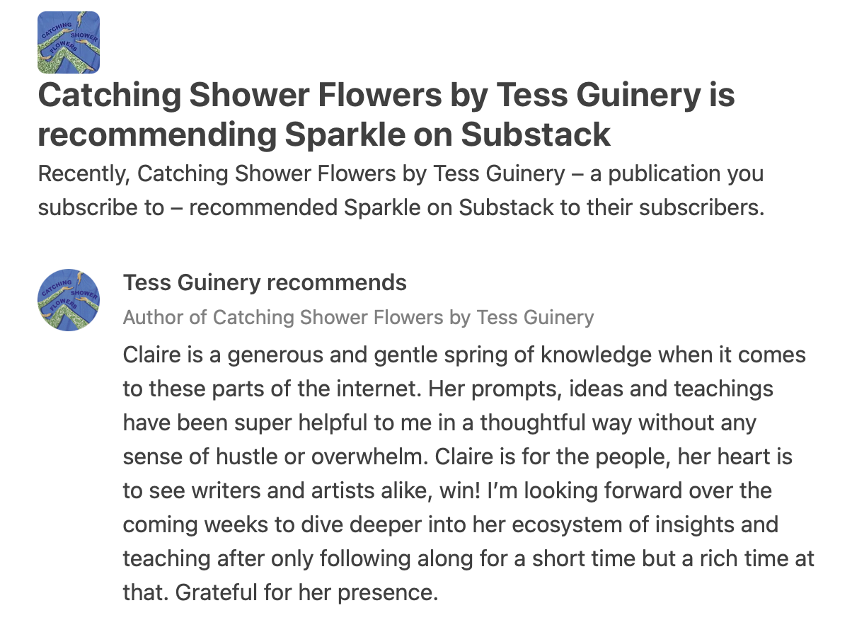 The Business of Your Substack in 2024 - by Claire Venus