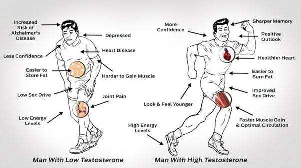 The ULTIMATE Guide to Testosterone Optimization - Benefits of High T ...