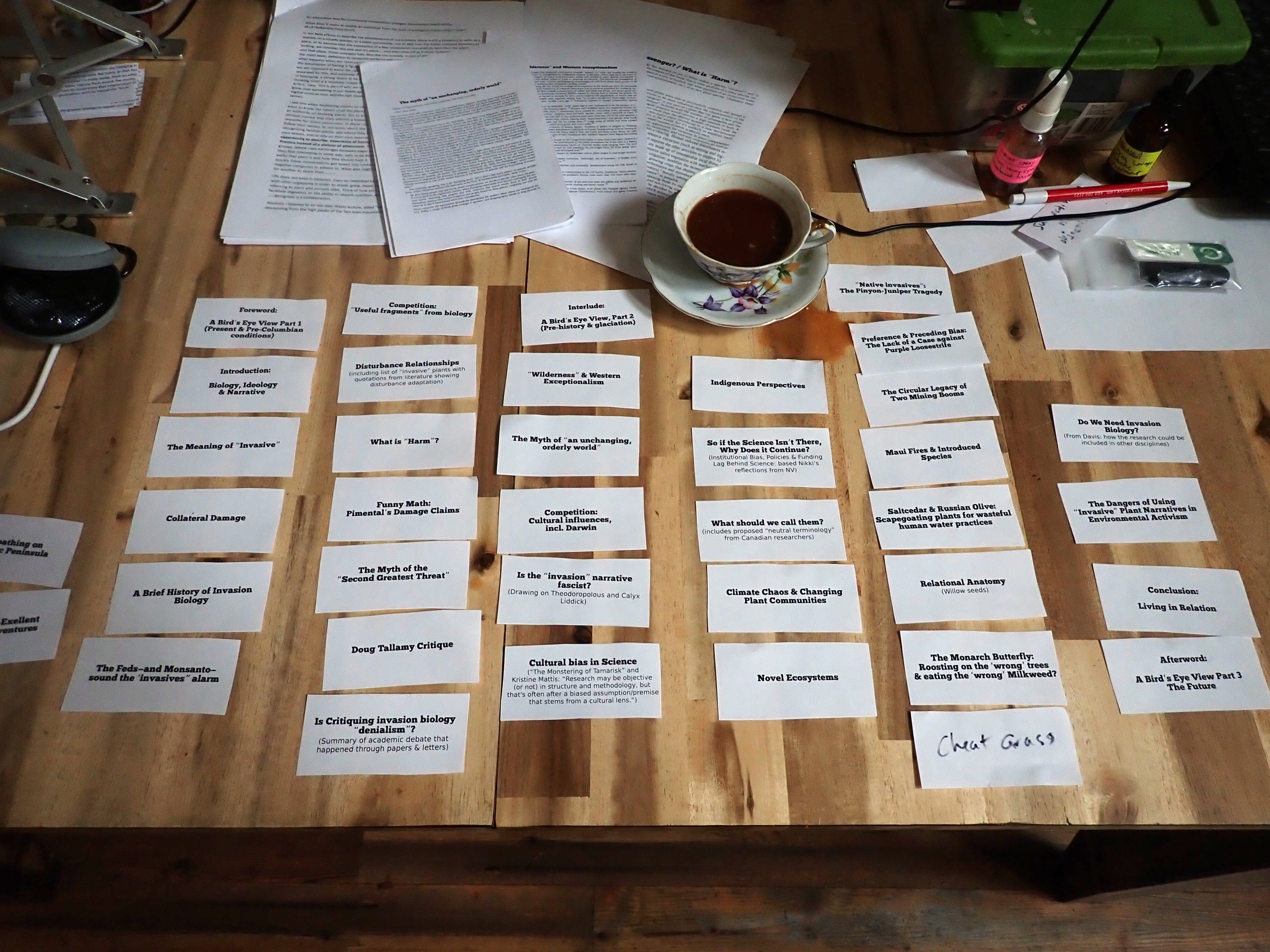 Progress Report: The Book - by Kollibri terre Sonnenblume