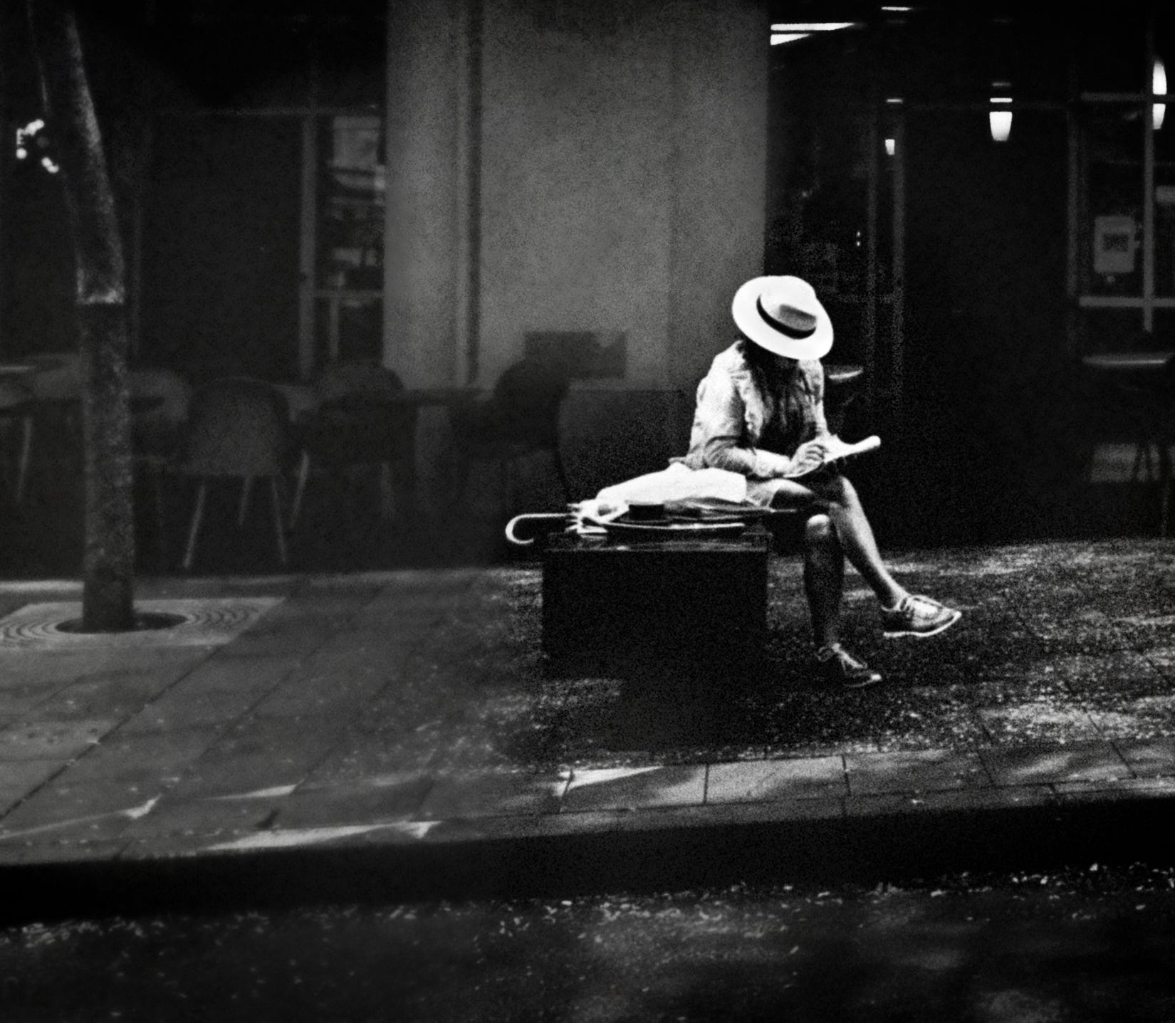 NZ Visual Diary - entry 155 - by Rich Greissman