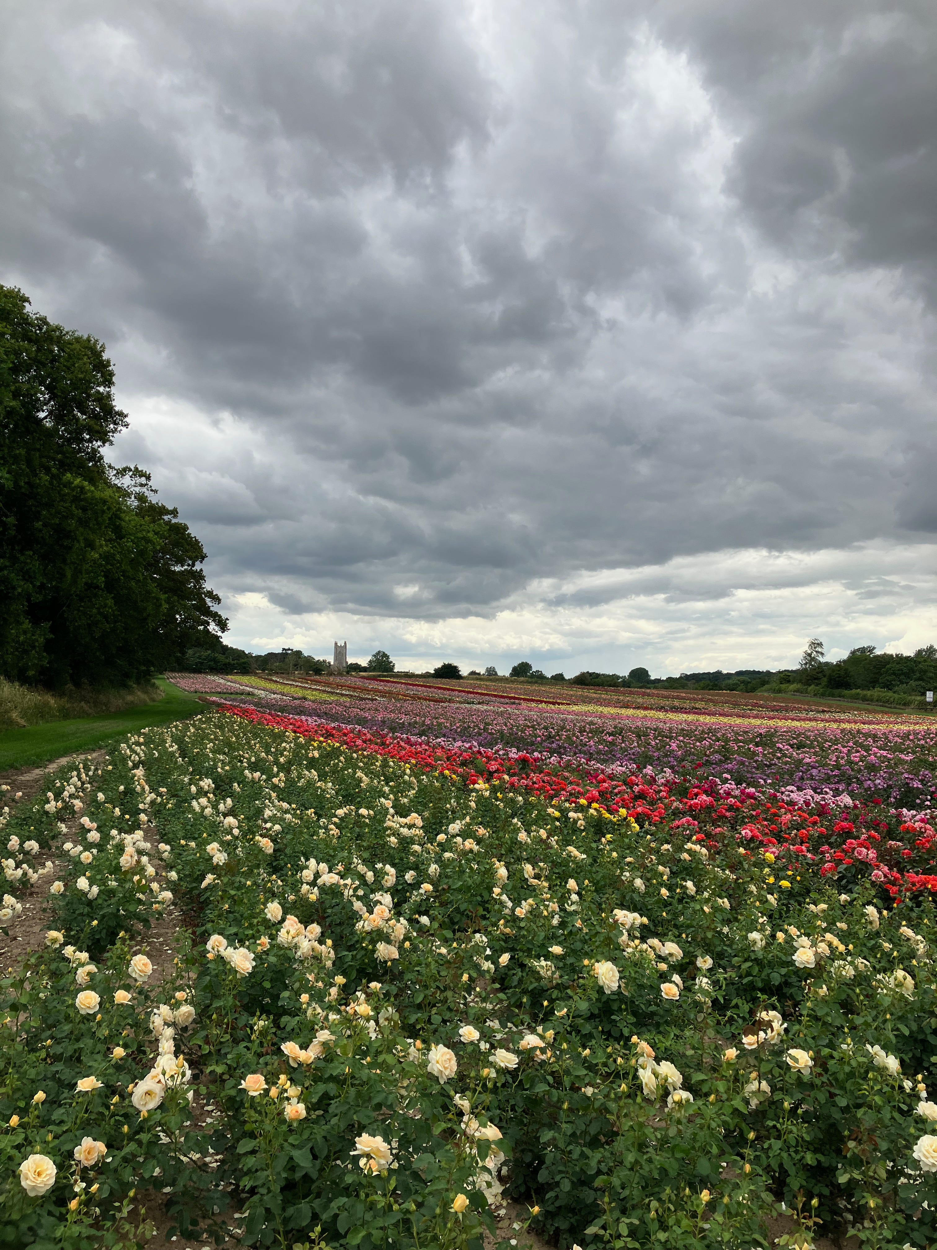 Gale force 9 - Marple’s Substack