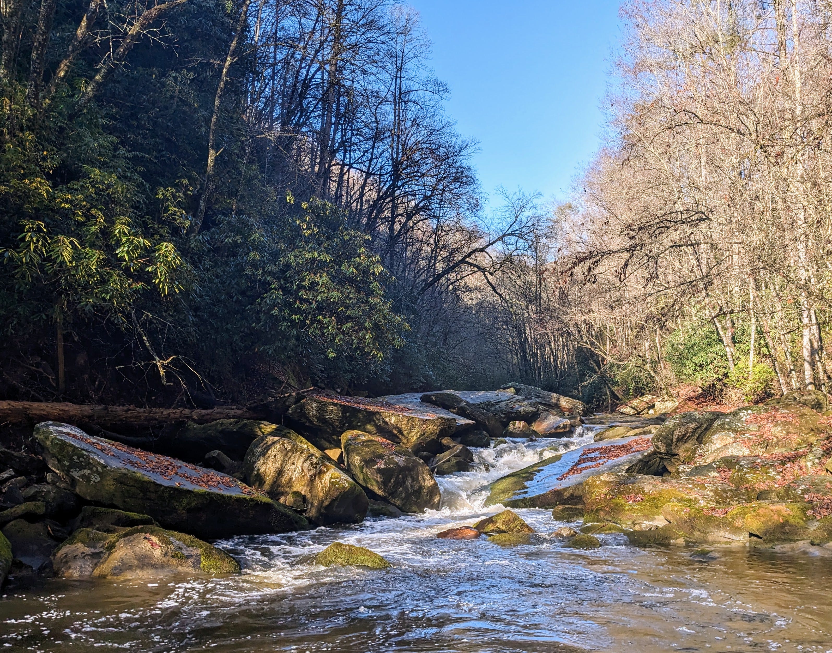 The North Fork is Clearly Wild and Scenic, Advocates Say, So Make It ...