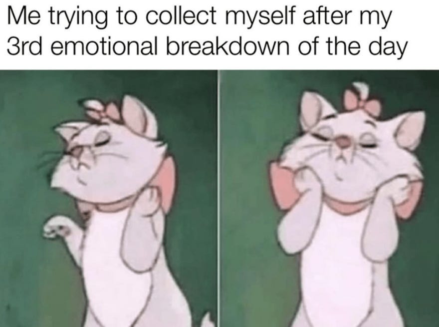 Tuesday Tidbits - Cori's first meme drop - by Cori Bren