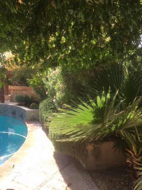 Yard Sale - by Laurie Stone - Everything is Personal