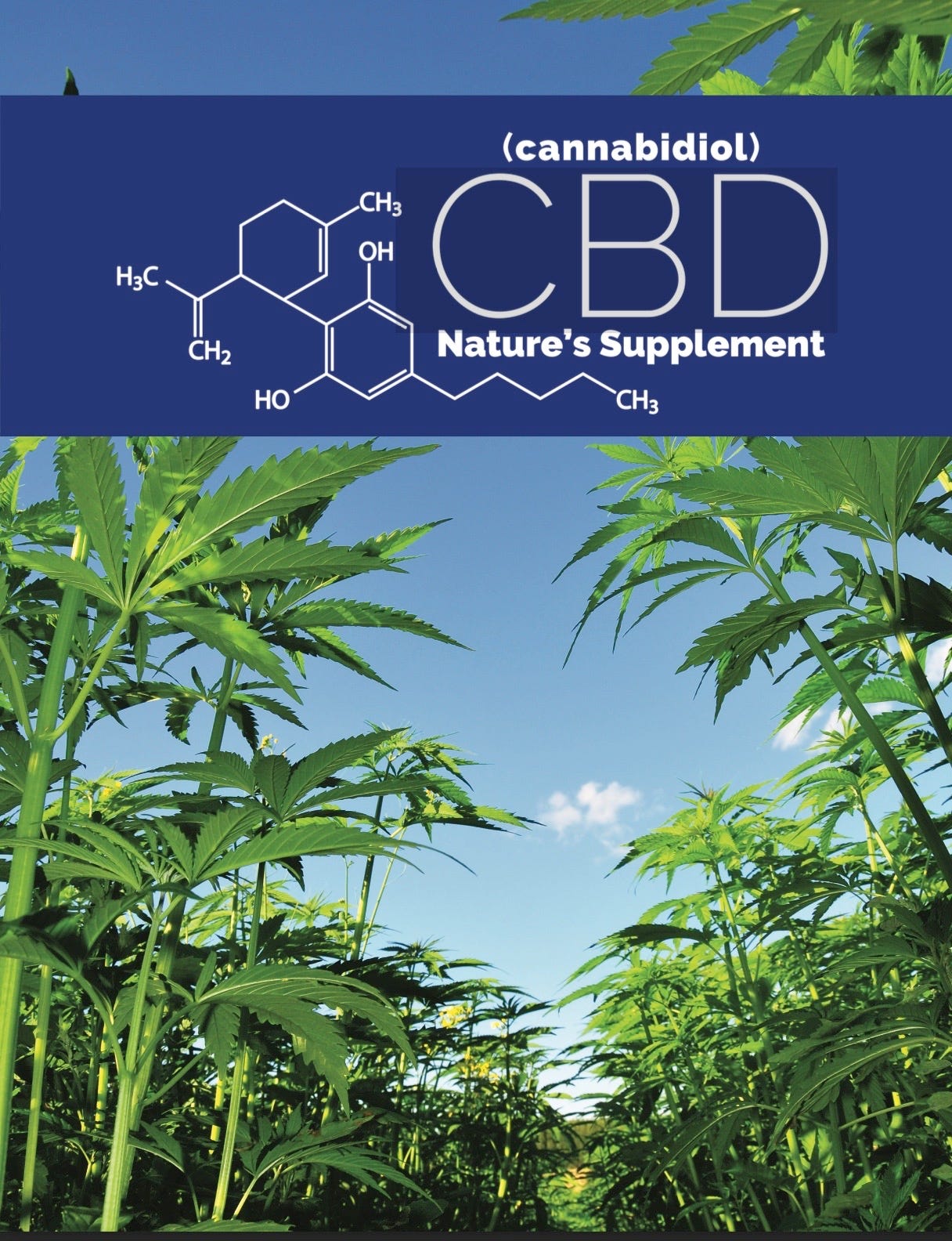 CBD-X: The Most Potent Full Spectrum Organic CBD Oil, with 5,000 Milligrams of Activated ...