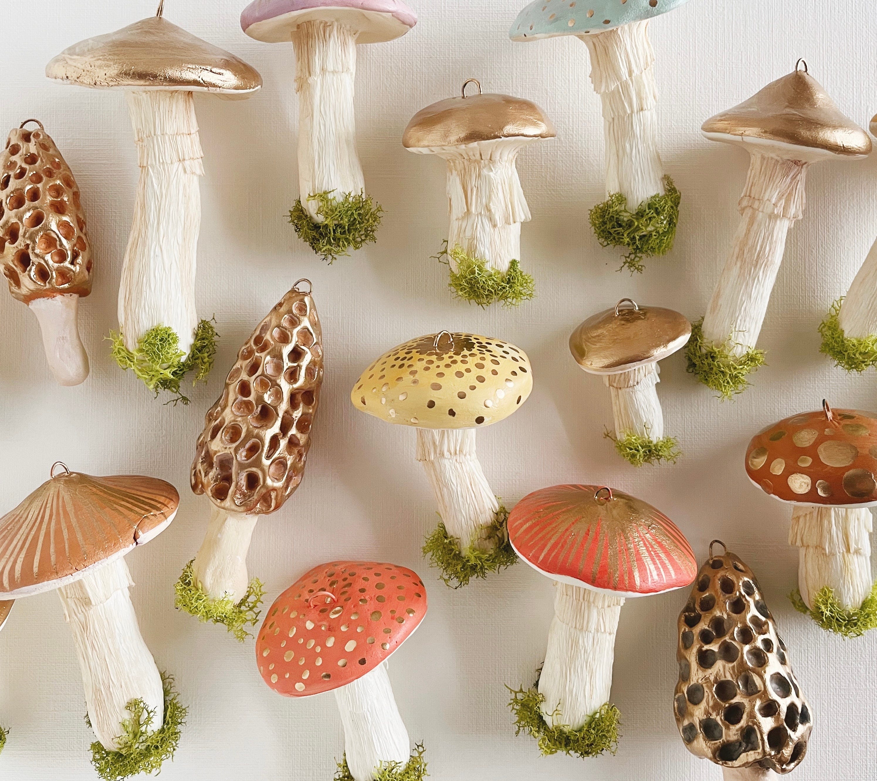 Festive Fungi - by Carrie Shryock - The Observationalist