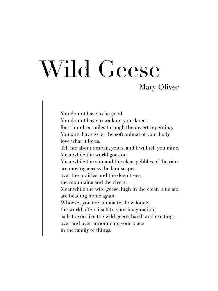 Poems for Your Weekend - by Maya C. Popa - Poetry Today