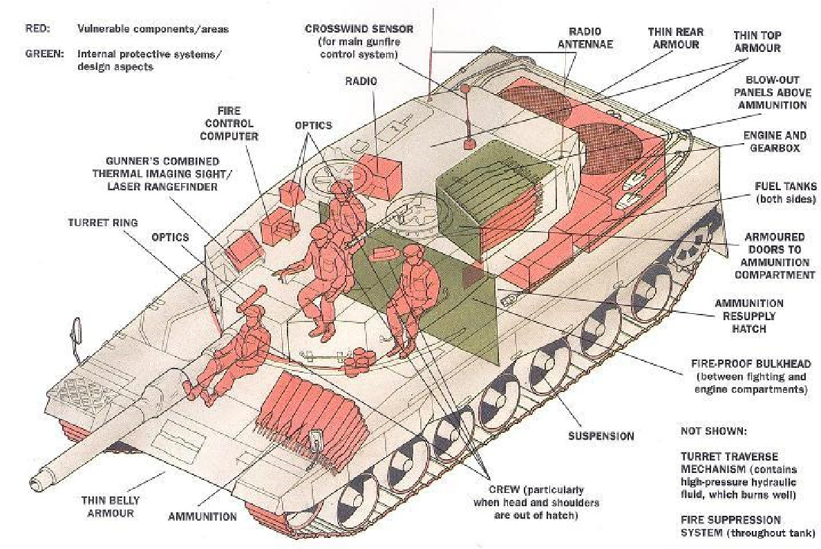 LEOPARDS IN UKRAINE - by Mike Mihajlovic