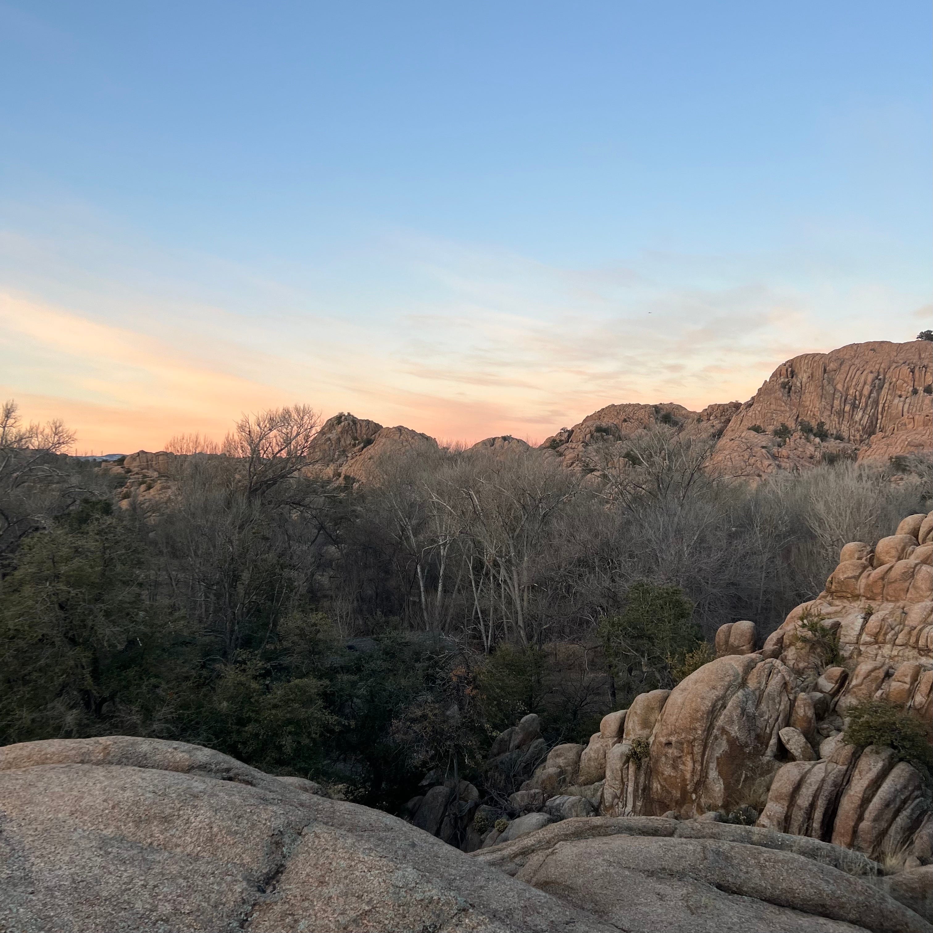 Your body wants you to know - by Jamie Lee Finch