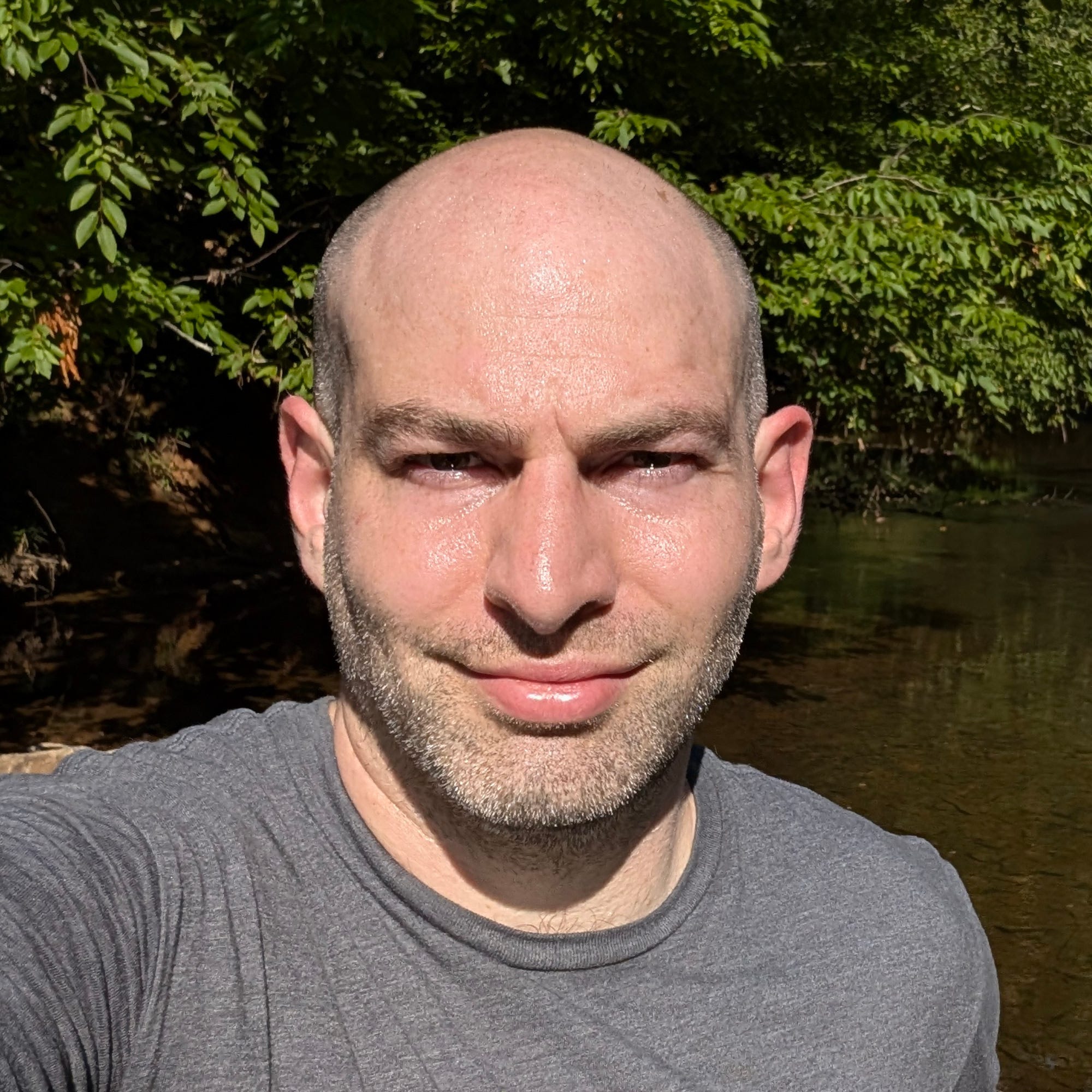 David Shapiro | Substack