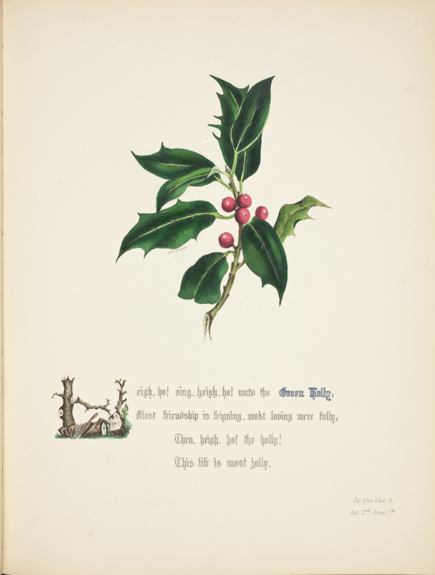 The Shakespeare Garden: Jane Elizabeth Giraud's Posies and Elizabethan ...