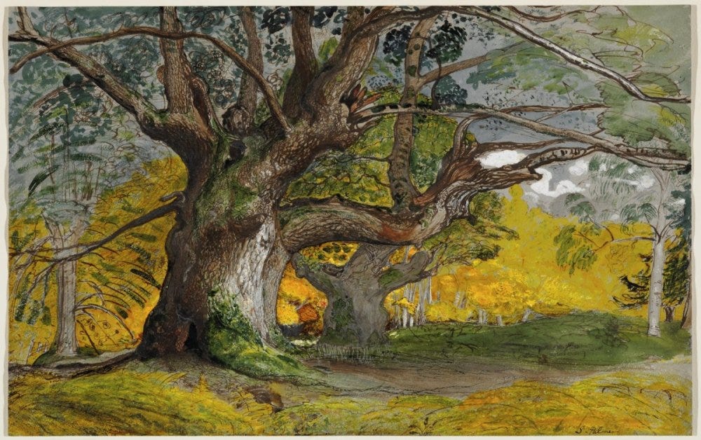 At Apple Blossom Time - by Deborah Vass - still sketching