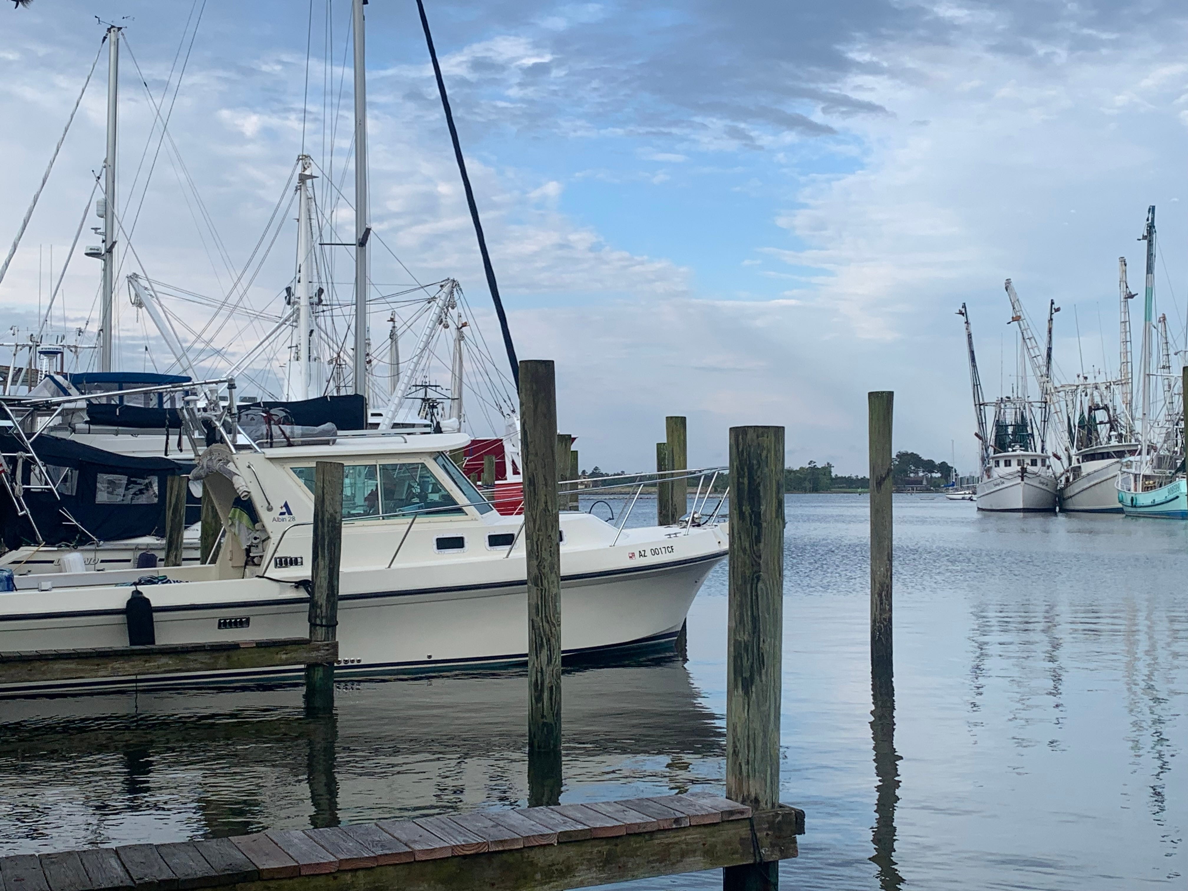 Took a lickin’… - Dan’s Substack