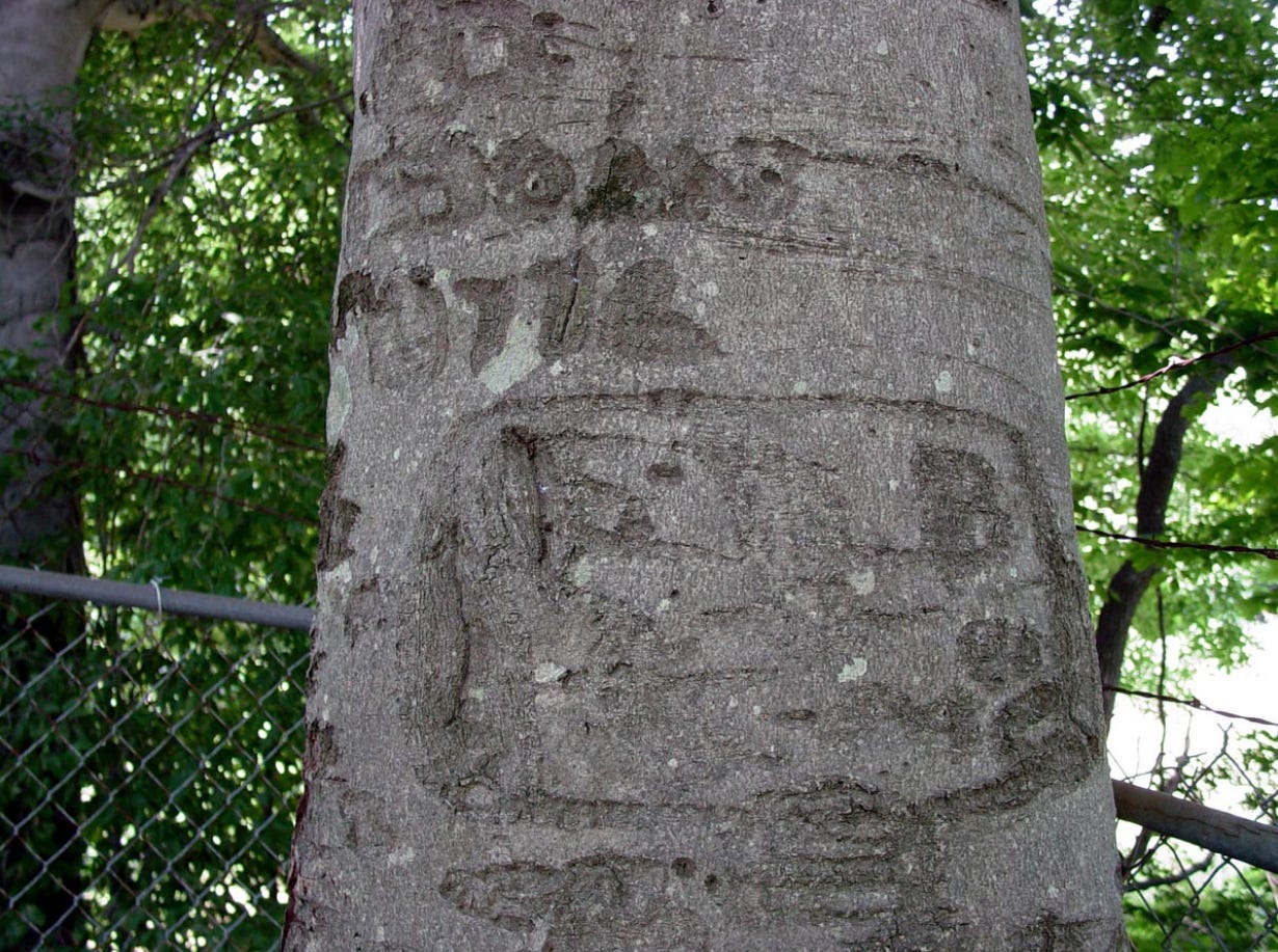 Photo of the Day - by Brenda Elthon - Photo of the Day