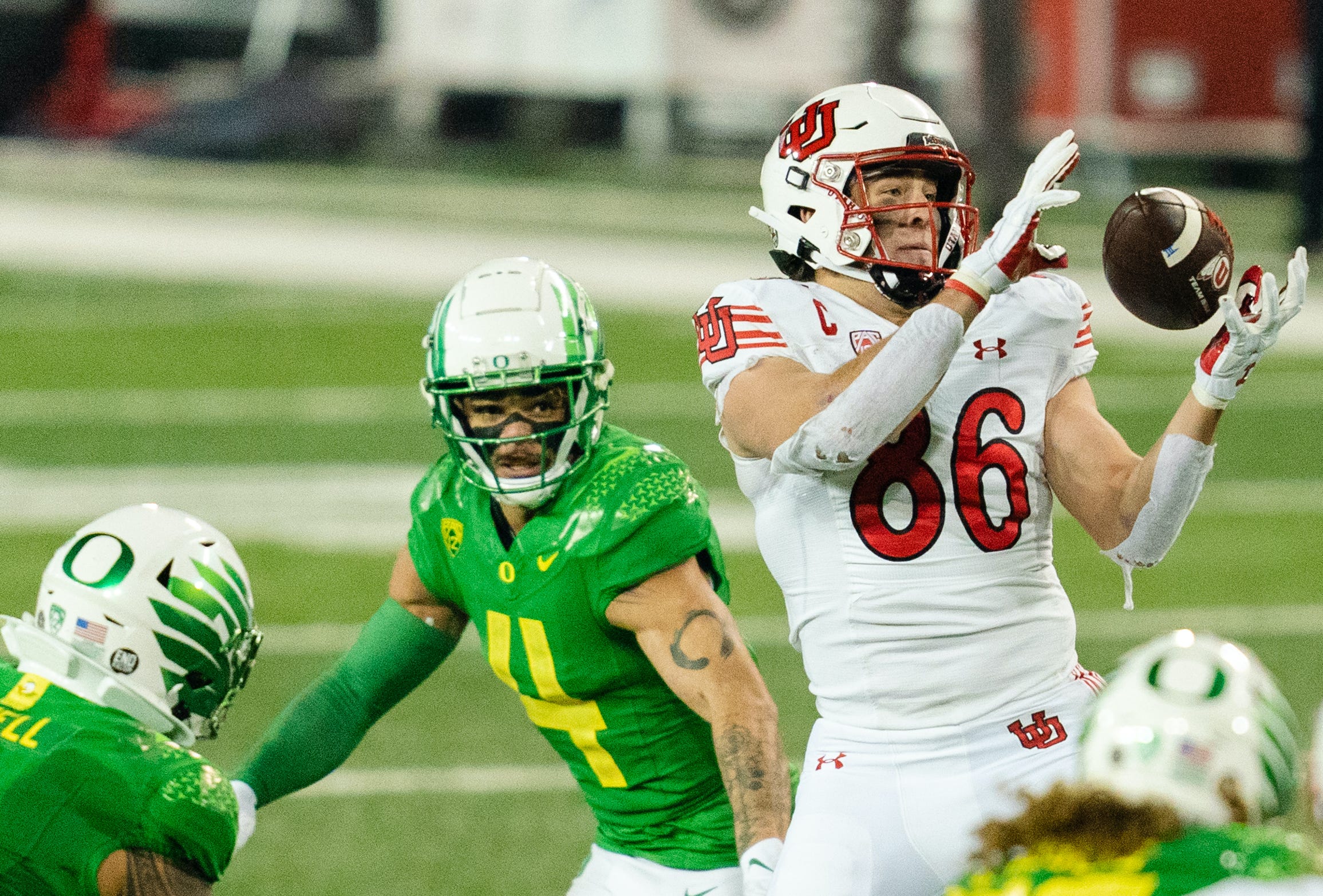 The mystery of Lukas Van Ness - by Bob McGinn - Go Long