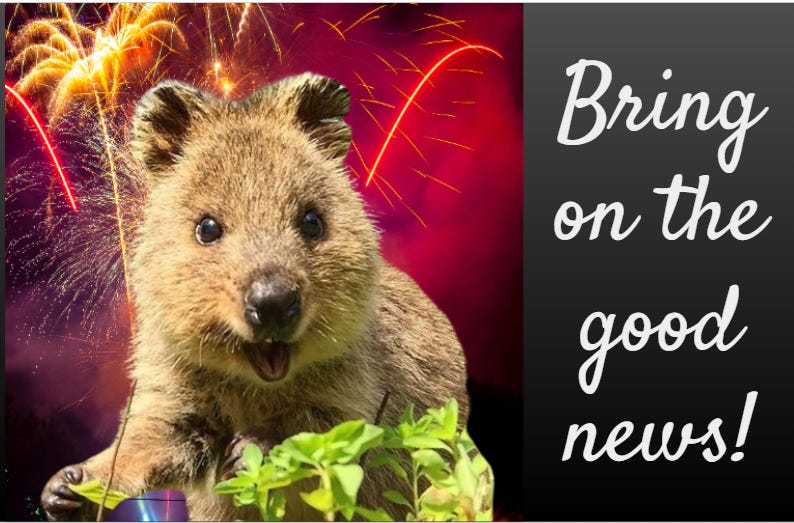 December lit mag brag! - by Becky Tuch - Lit Mag News