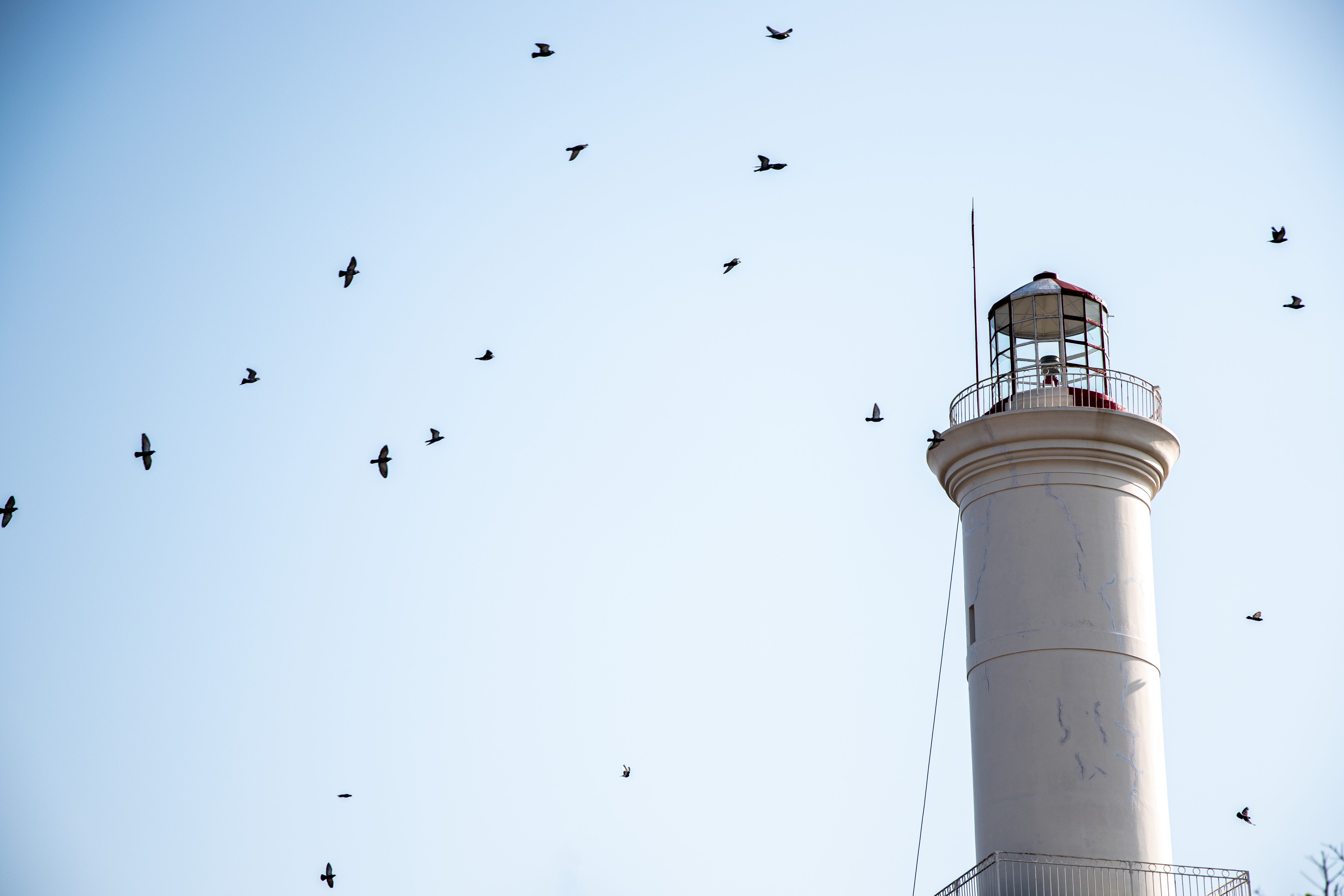 No Fear - by Antony Henao - Echoes of Aliveness