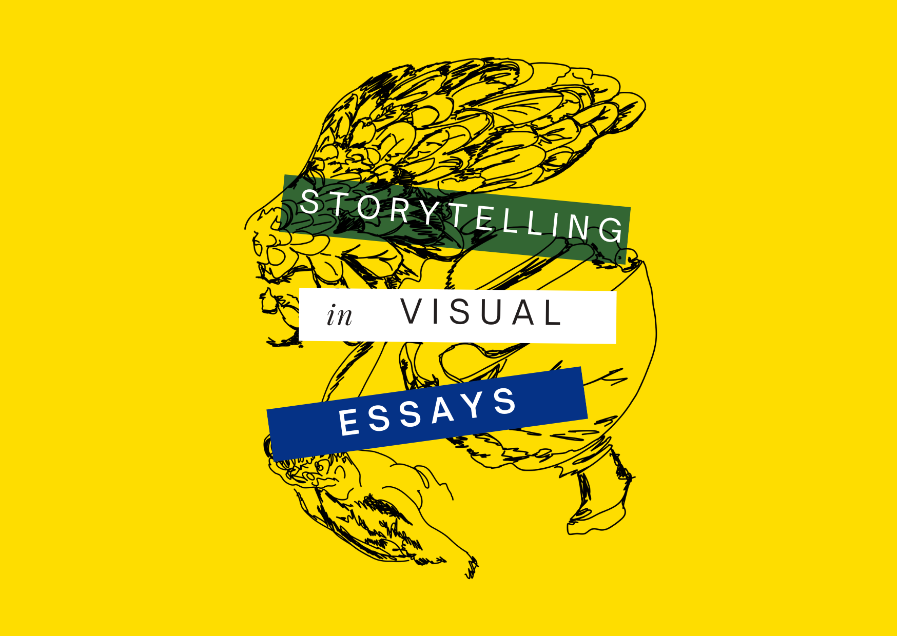 What is a visual essay? - by Miranda Sims